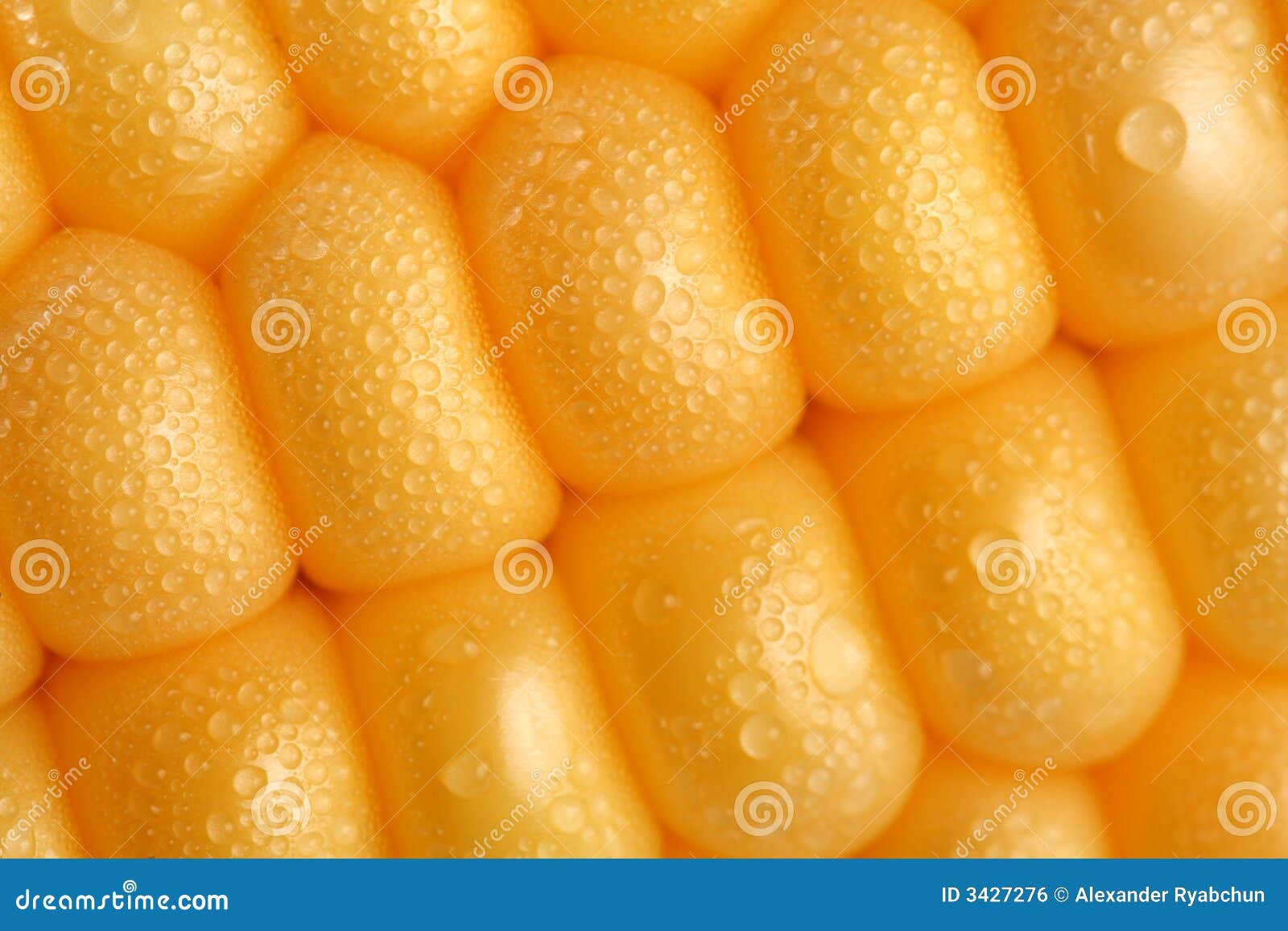 Fresh Grains of Corn and Drops Stock Photo - Image of health, crop: 3427276