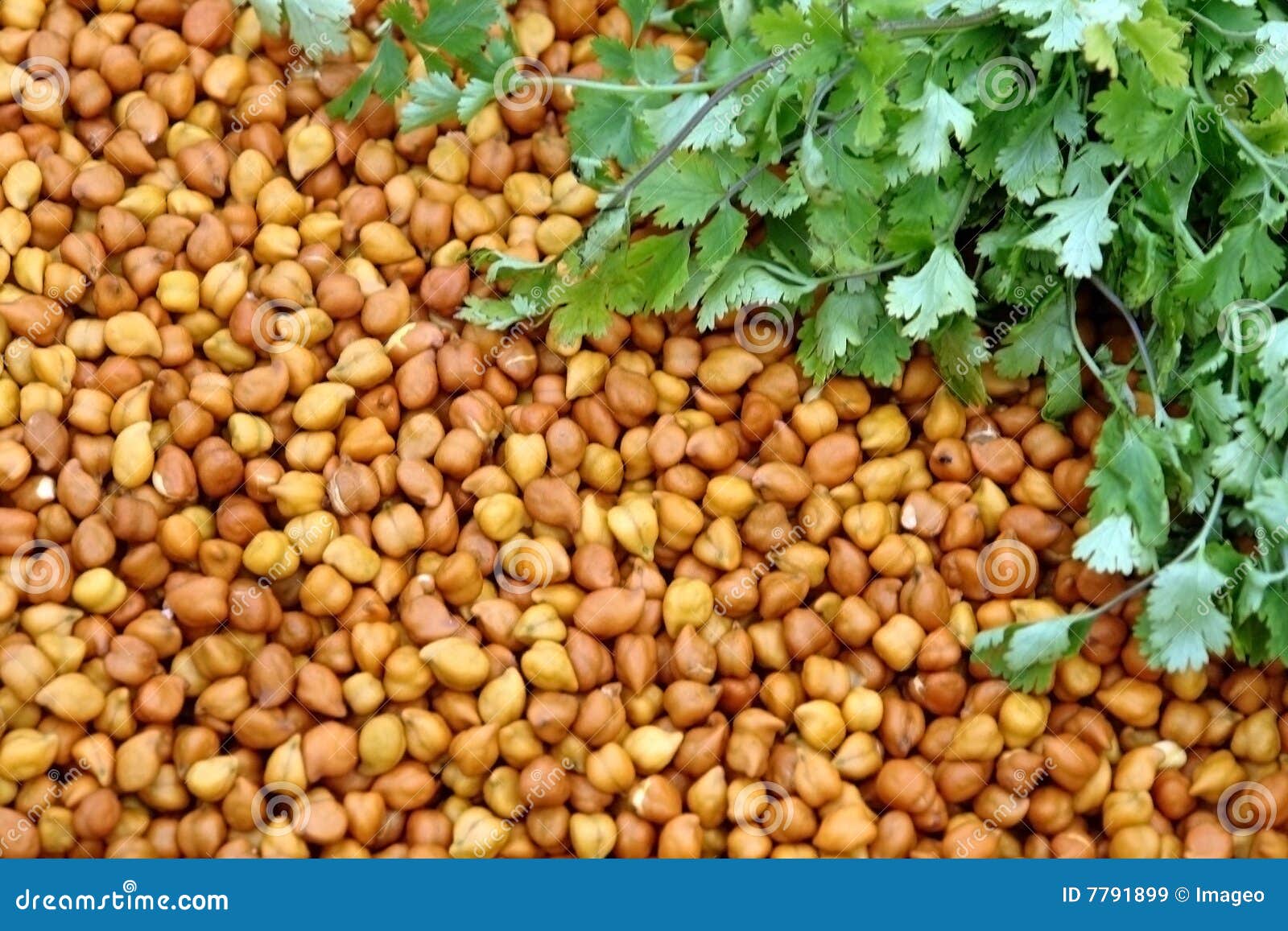 Fresh gram stock image. Image of healthy, diet, breakfast - 7791899