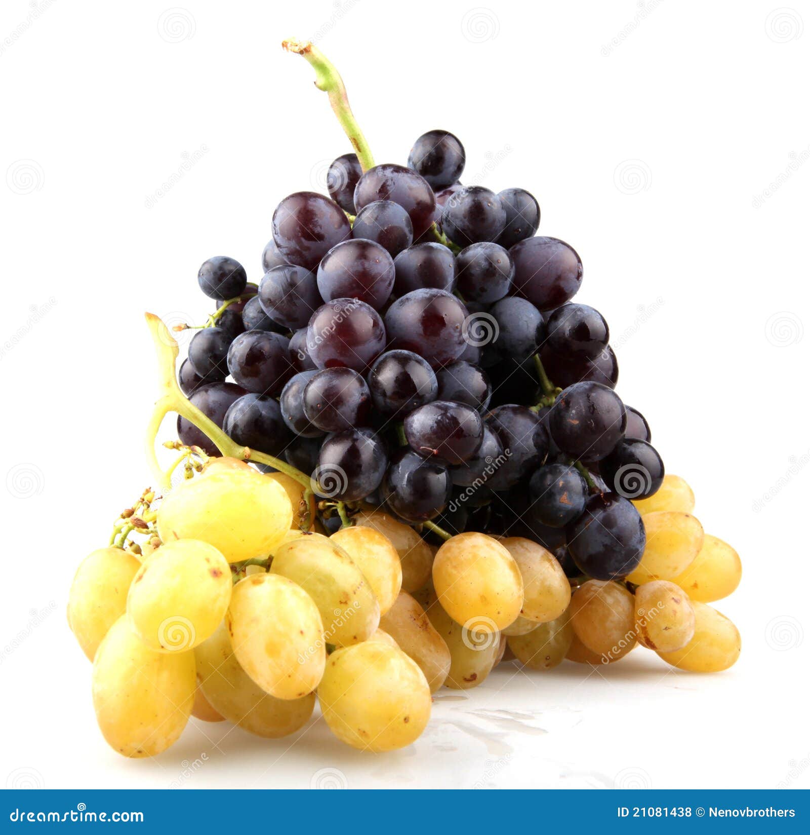 Fresh grape stock photo. Image of plant, freshness, making - 21081438
