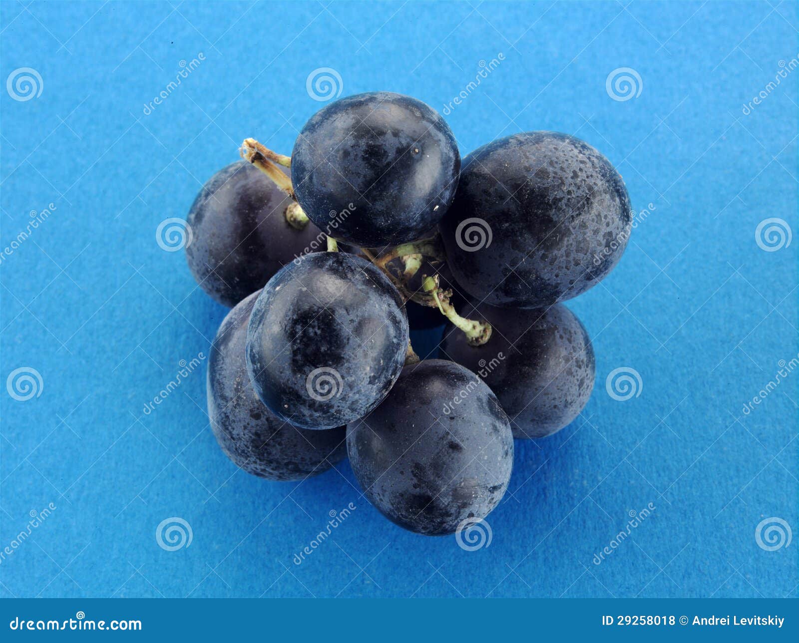 Fresh grape stock photo. Image of tropical, sweet, closeup - 29258018