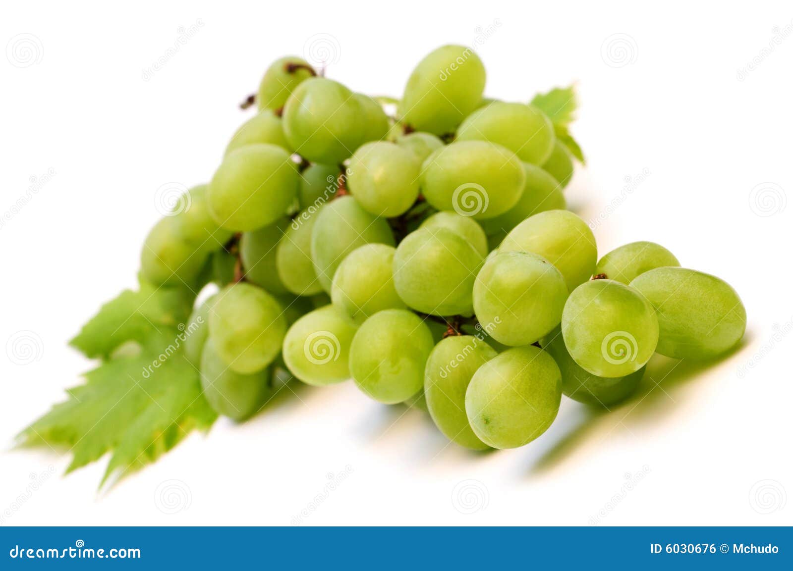 Fresh grape stock photo. Image of fresh, winery, green - 6030676