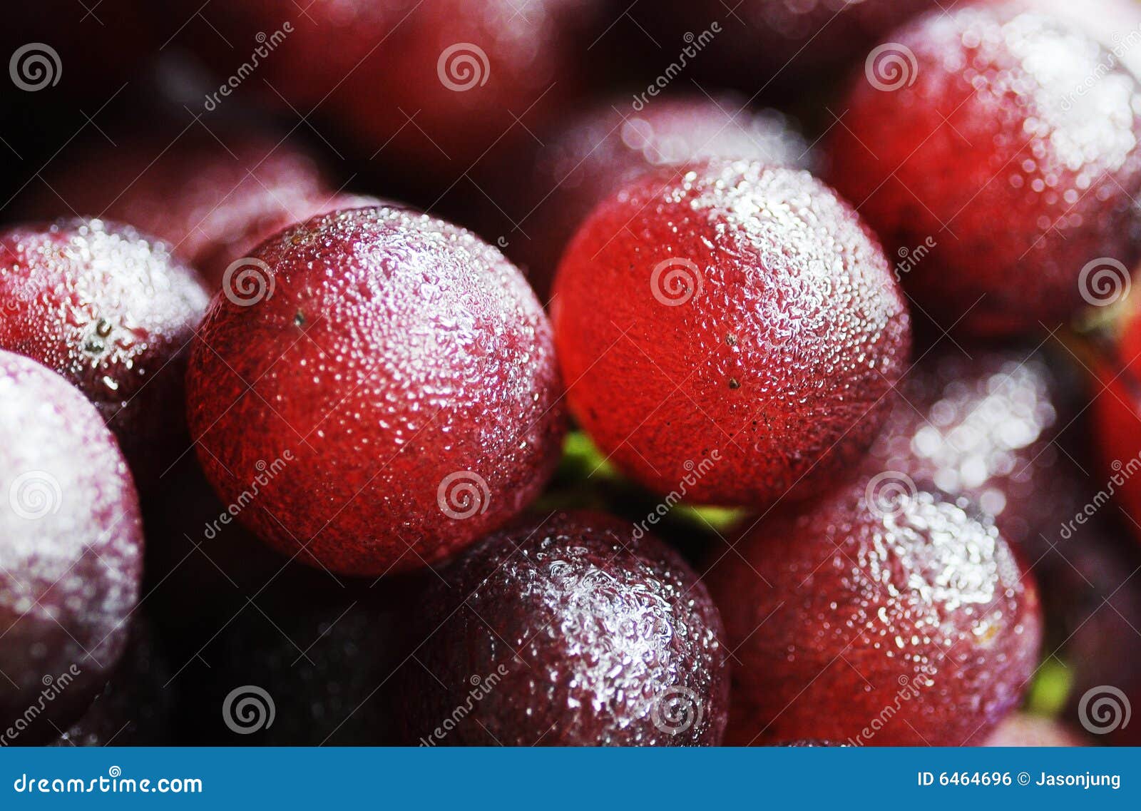 Fresh grape stock photo. Image of food, haverst, fruit - 6464696