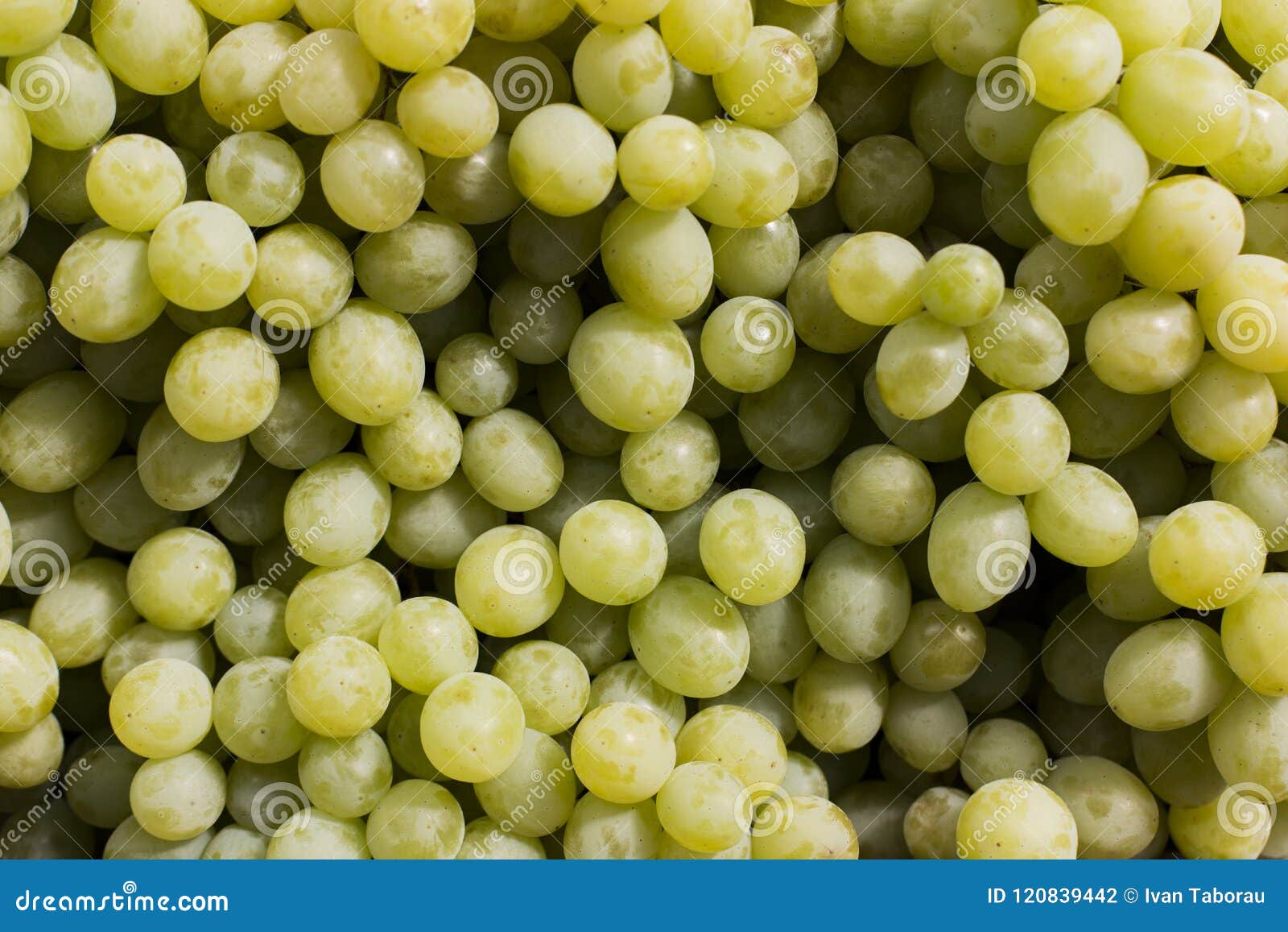 Fresh Grape Abstract Fruit Colorful Pattern Texture Background Stock ...