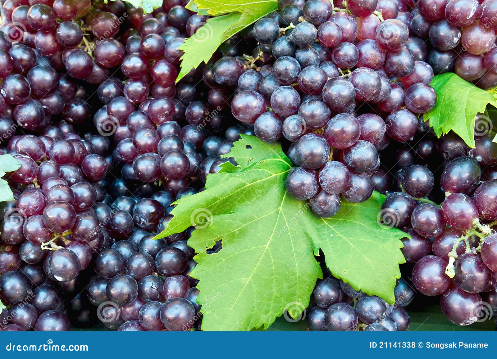 Fresh Grape Cluster with Green Leaf Stock Photo - Image of dragging ...