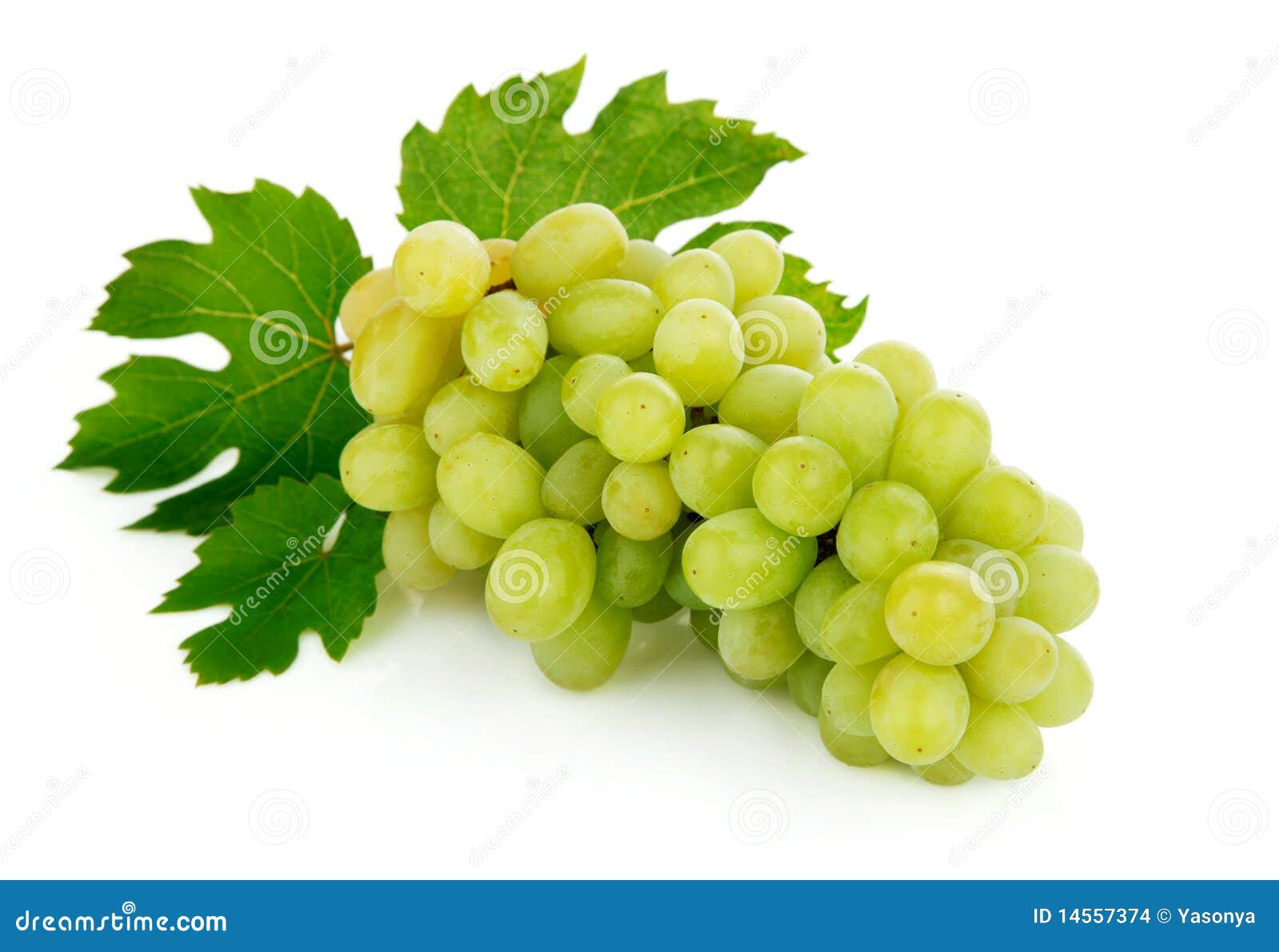 Fresh Grape Fruits with Green Leaves Stock Photo - Image of fresh ...