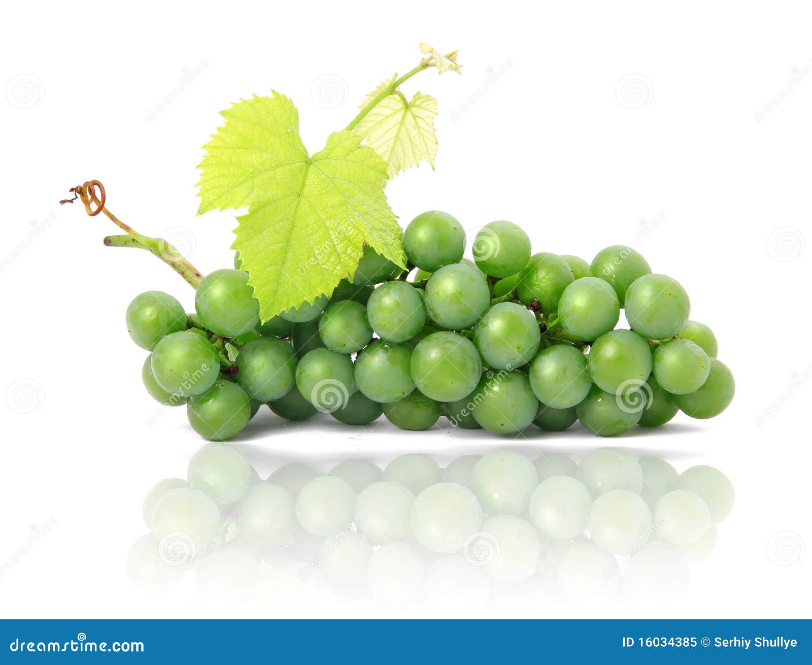 Fresh Grape Fruits with Green Leaves Isolated Stock Image - Image of ...