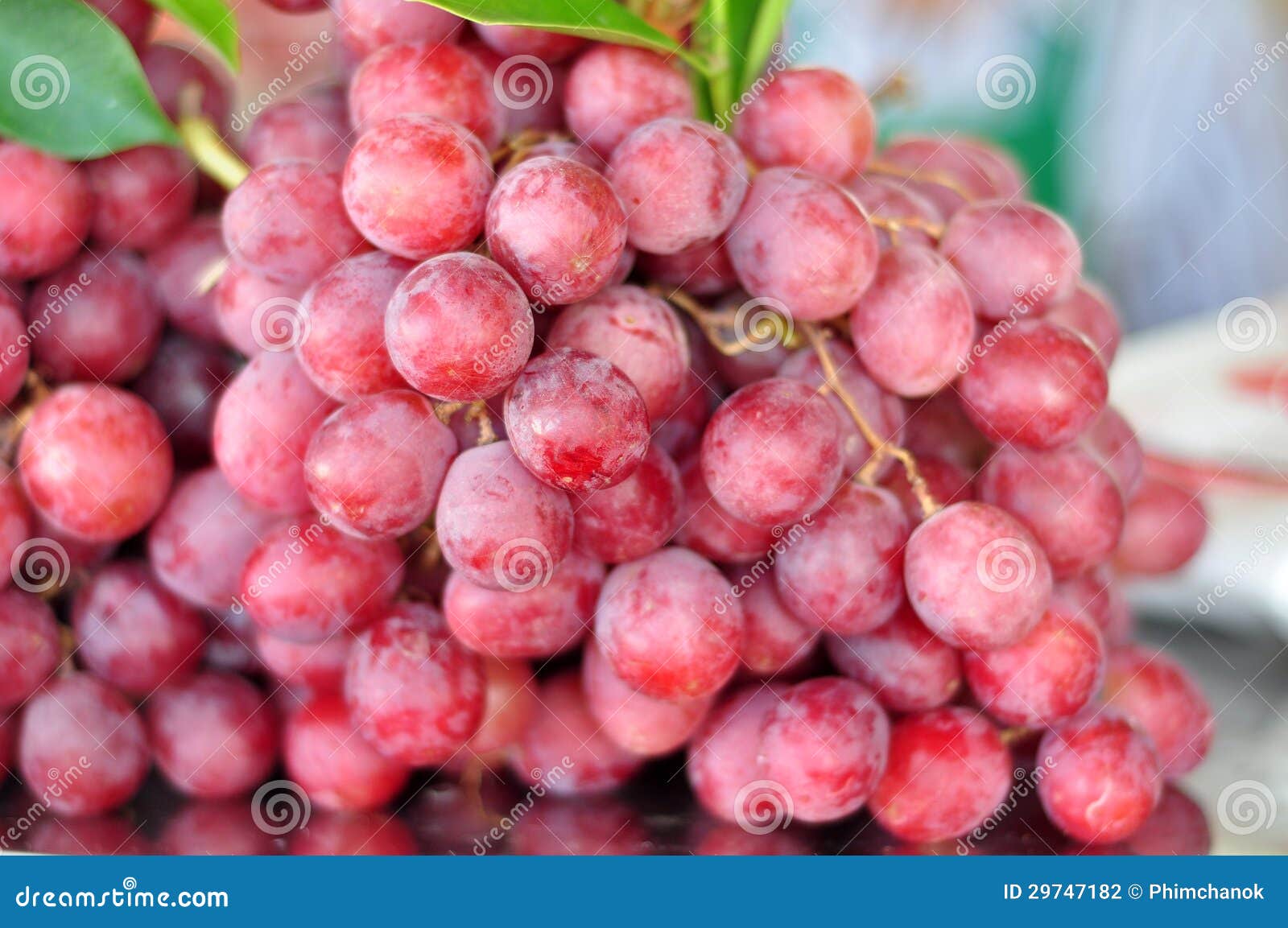 Fresh Grape stock photo. Image of harvest, purple, fresh - 29747182