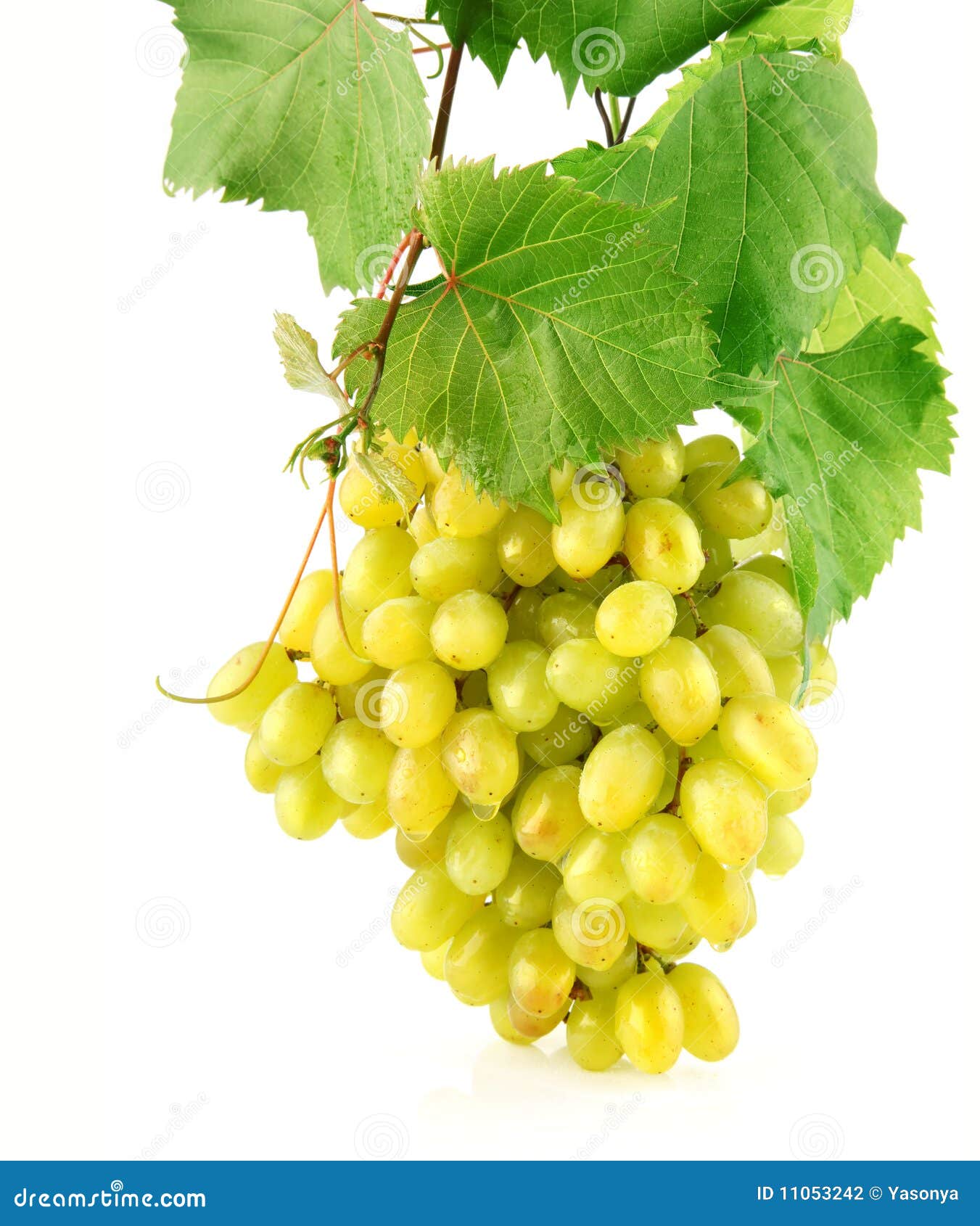 Fresh Grape with Green Leaves Isolated Fruit Stock Photo - Image of ...