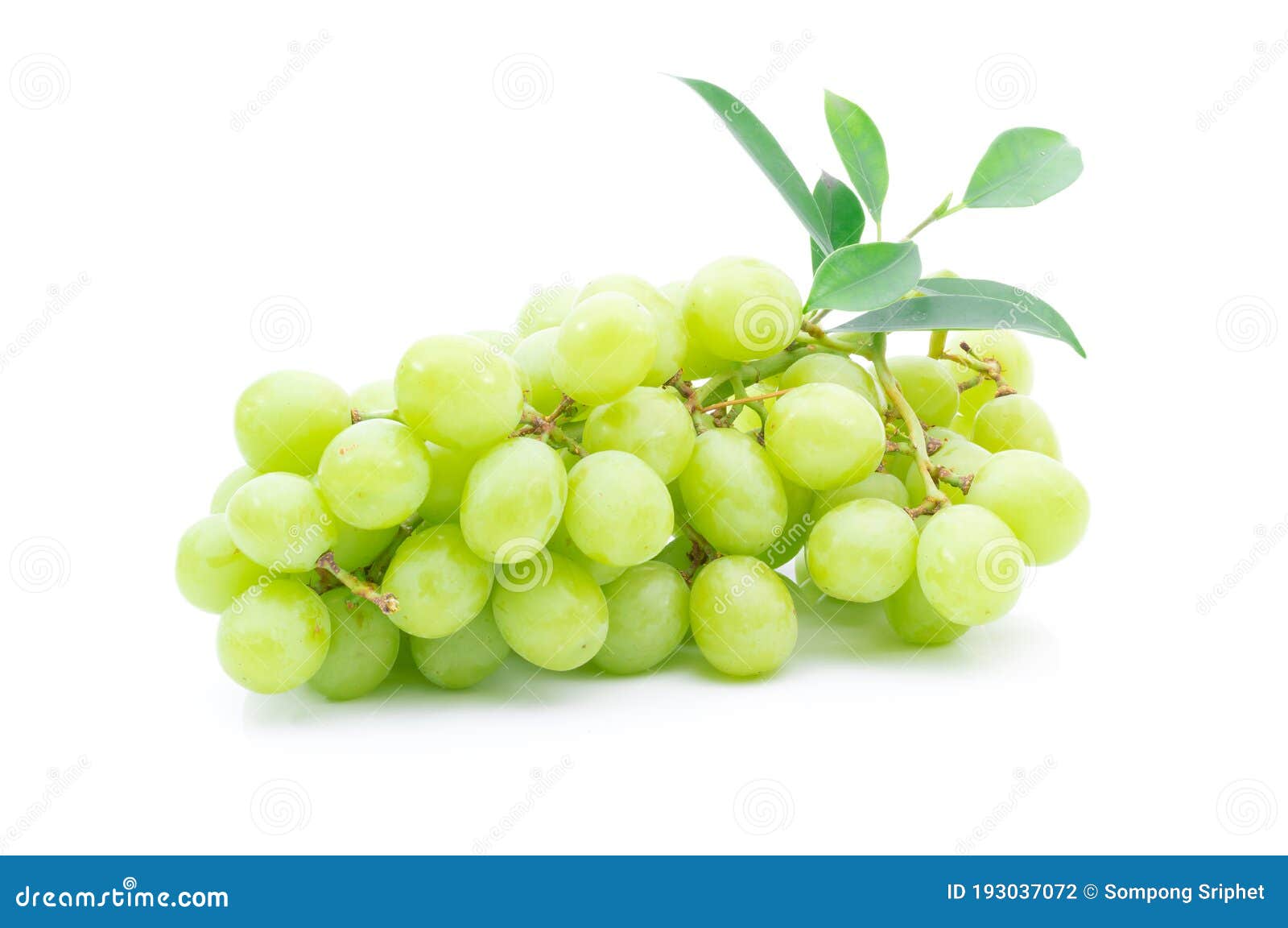 Grape Green Leaves Isolated On White Background Royalty-Free Stock ...