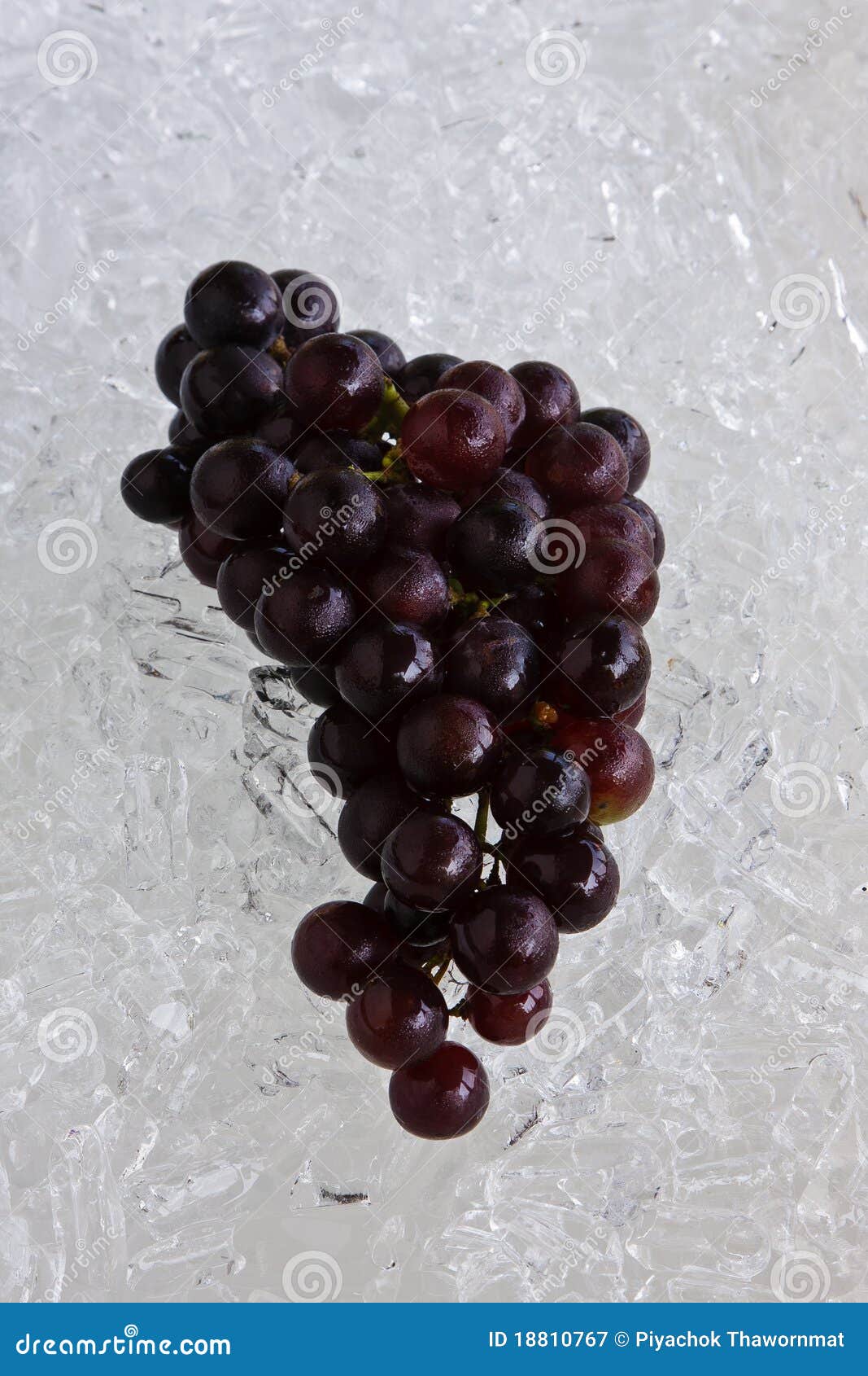 Fresh grape on ice stock image. Image of frost, clear - 18810767