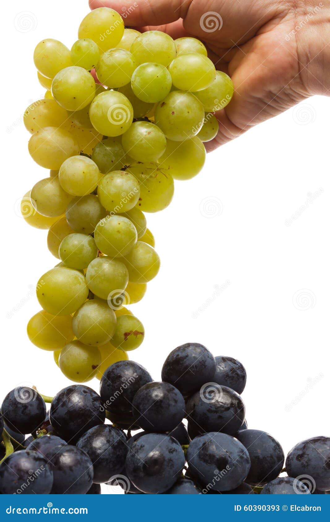 Fresh Grape Isolated on White Stock Image - Image of grapes, delicious ...