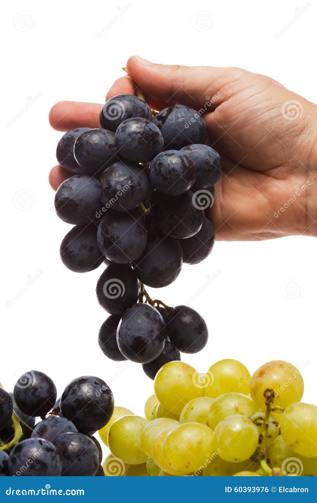 Fresh Grape Isolated on White Stock Photo - Image of juicy, farm: 60393976
