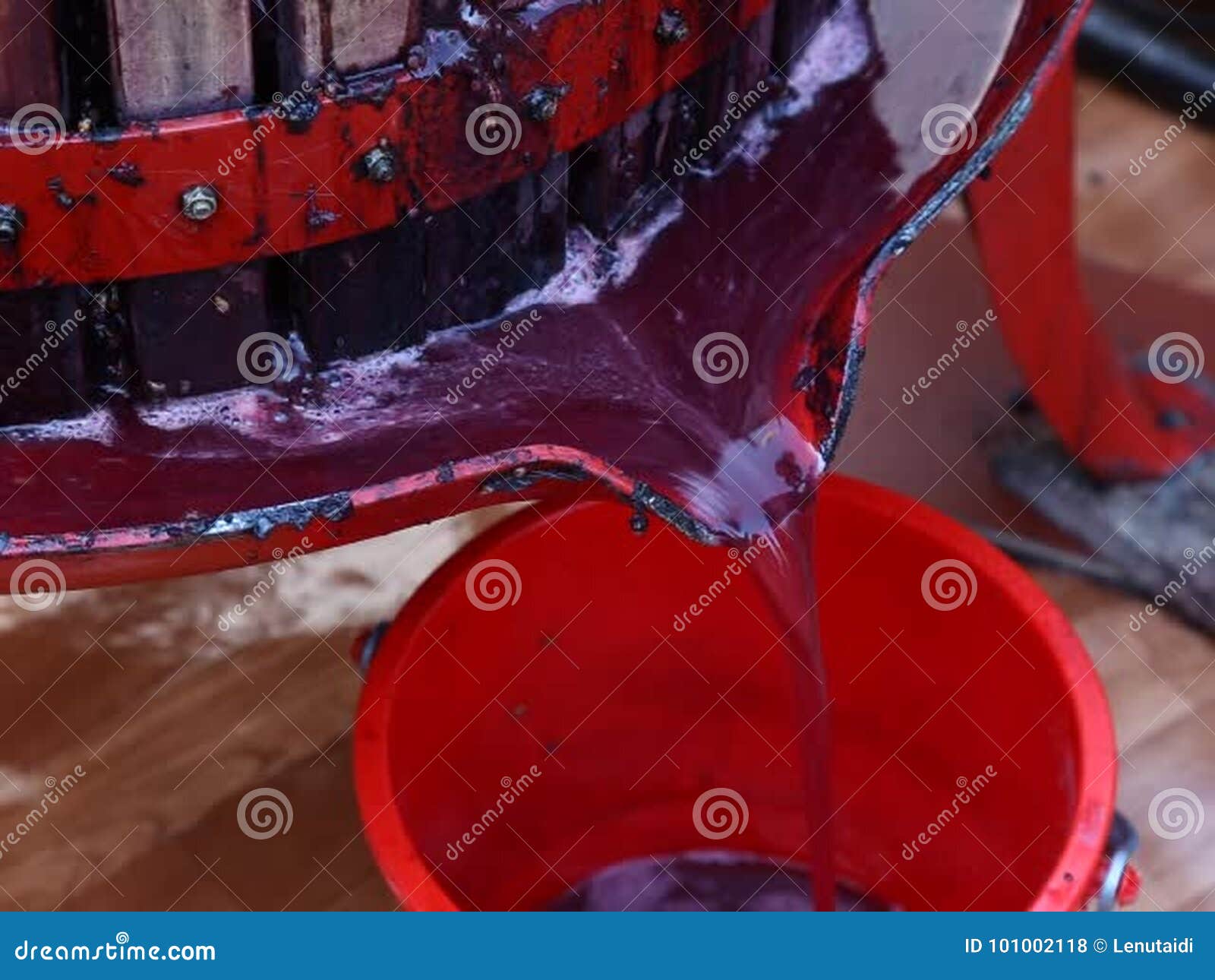 Grape must drain stock footage. Video of juice, bucket - 101002118