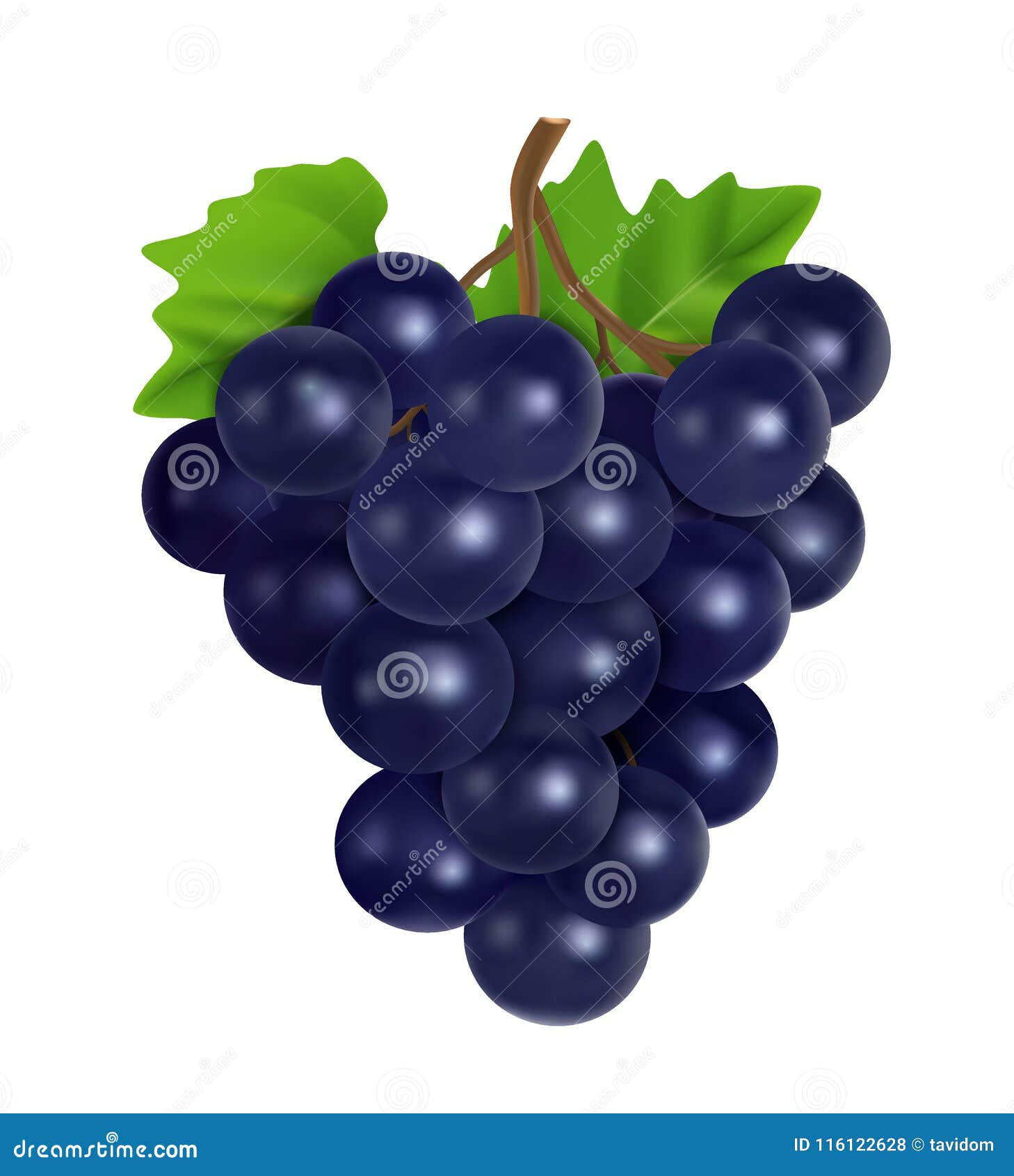 Fresh Grape. Realistic Vector Image. Stock Vector - Illustration of ...