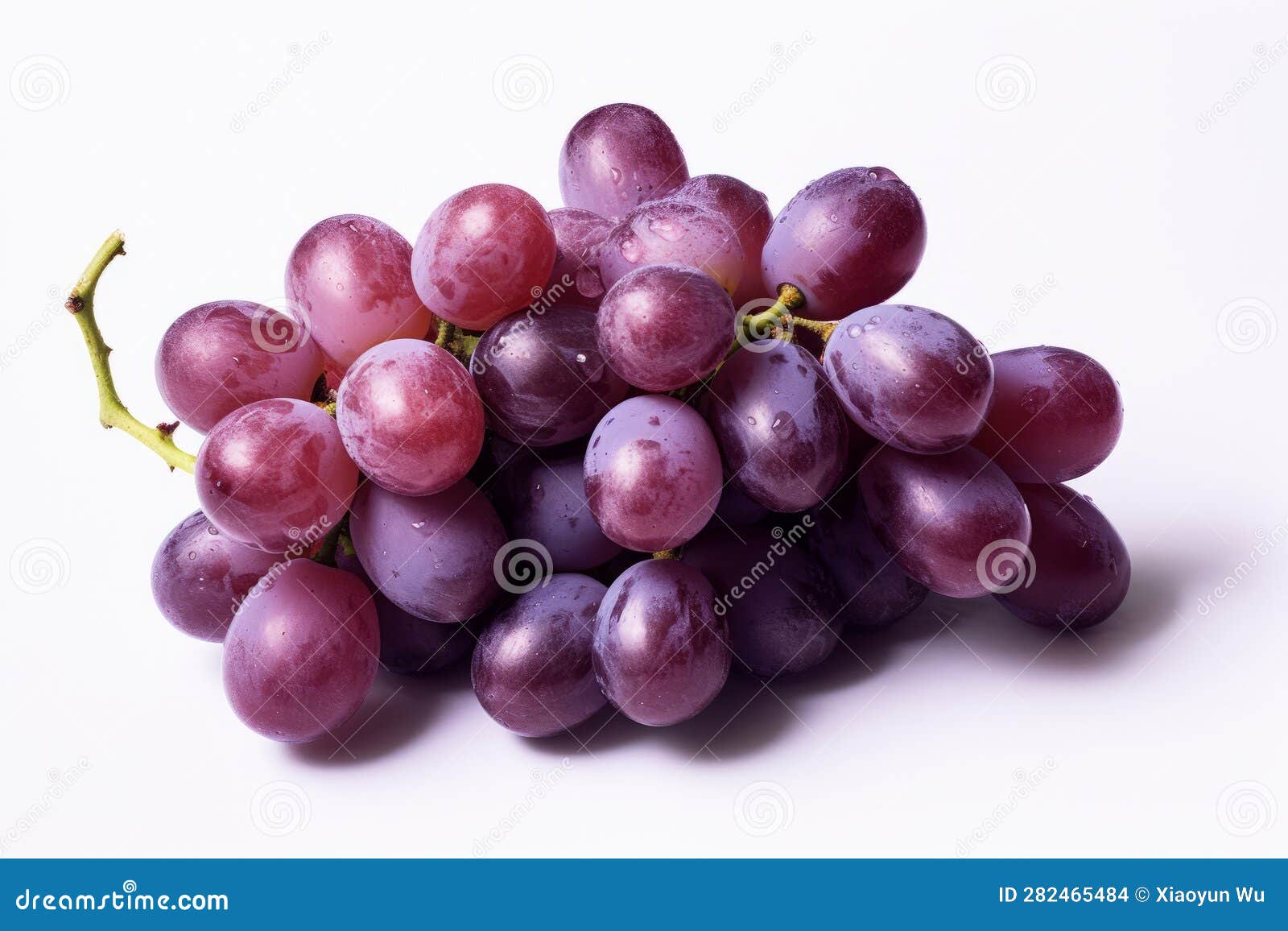 Fresh Grape Solid Color Background Image Stock Illustration ...