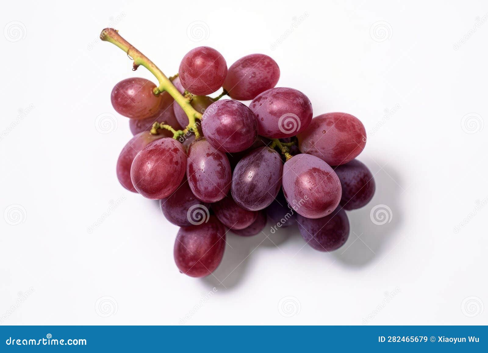 Fresh Grape Solid Color Background Image Stock Illustration ...
