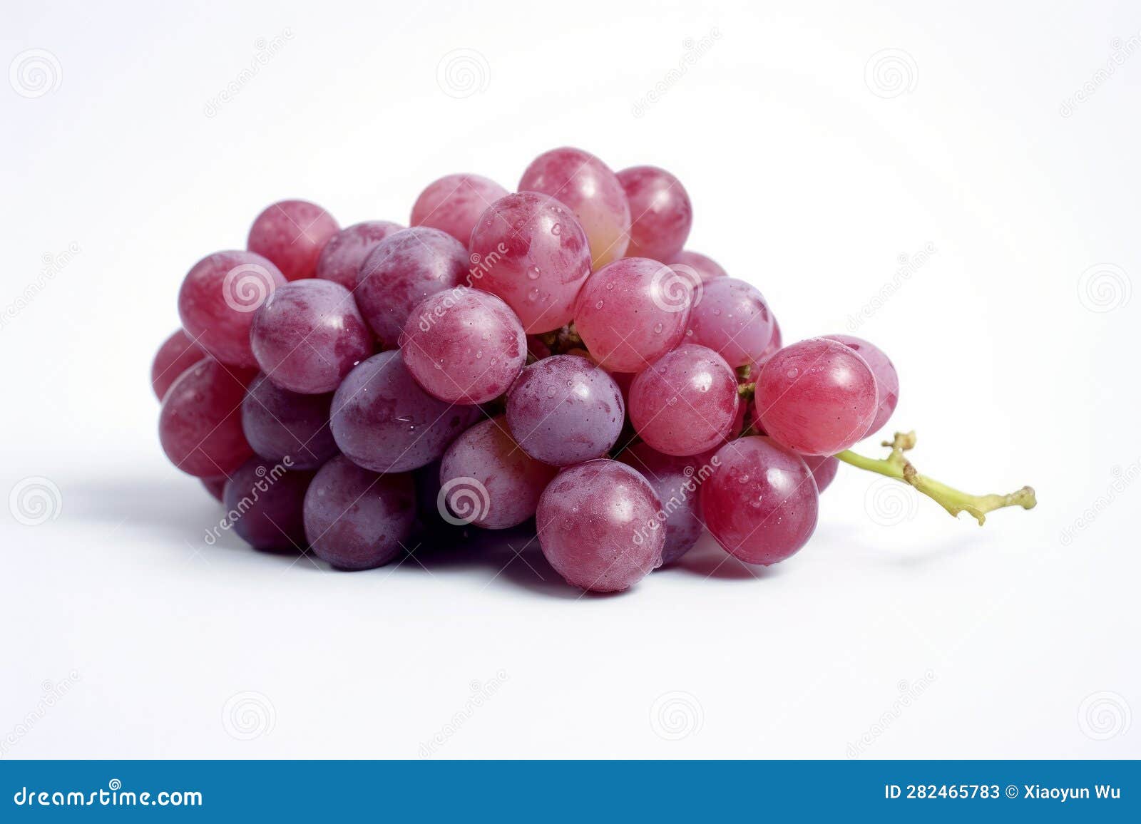Fresh Grape Solid Color Background Image Stock Illustration ...