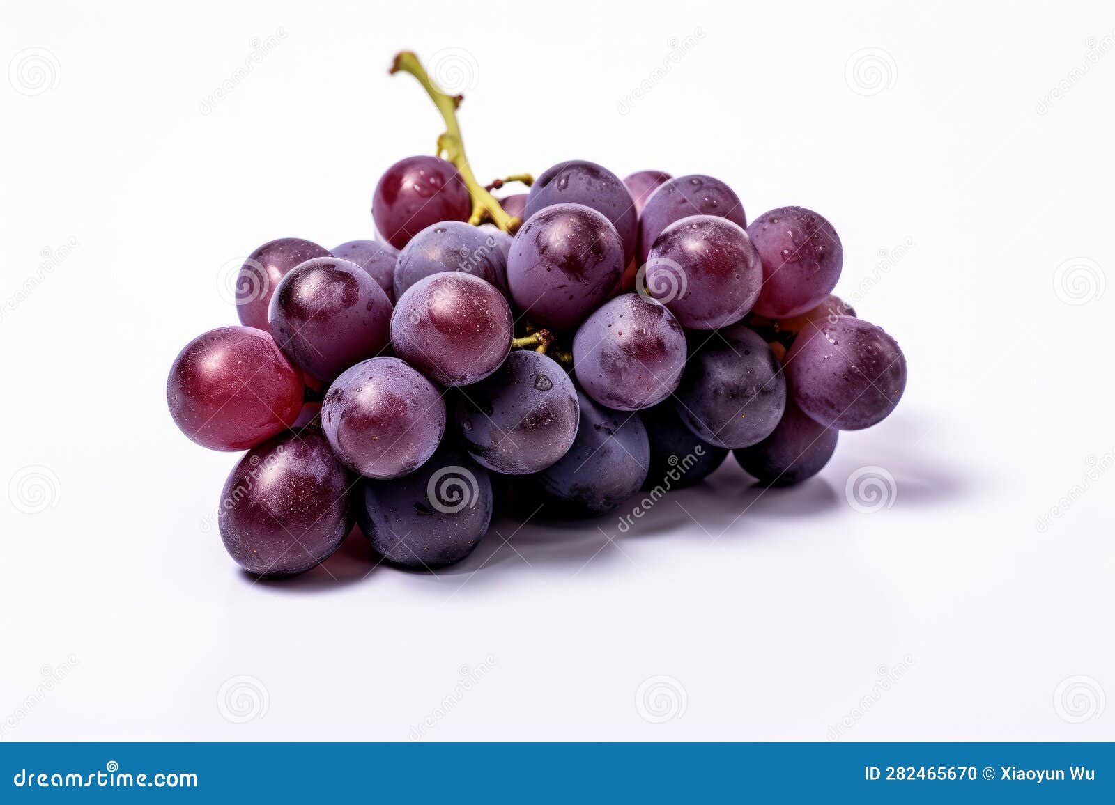 Fresh Grape Solid Color Background Image Stock Illustration ...