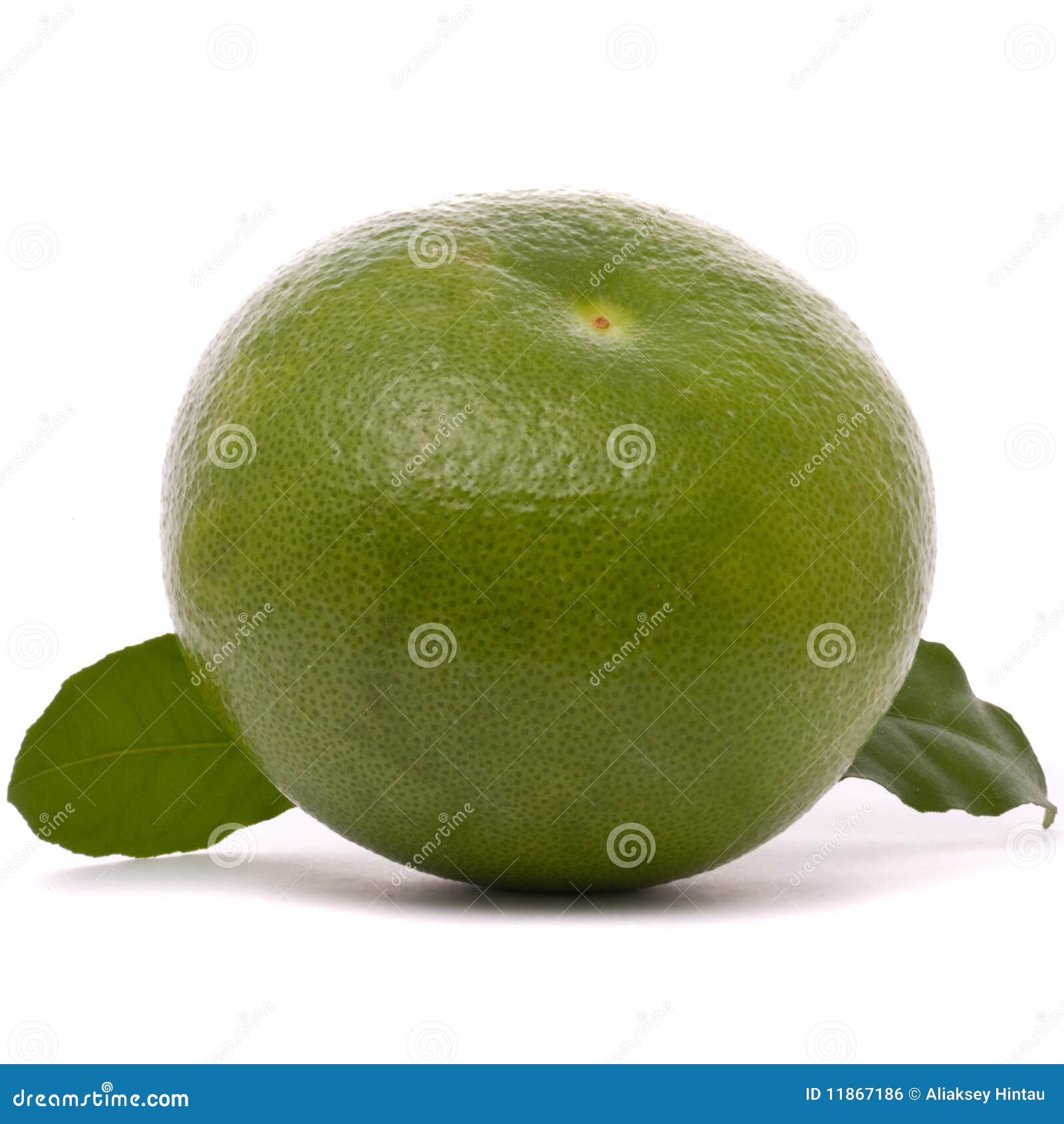 Fresh grapefruit stock photo. Image of vitamin, arrangement - 11867186
