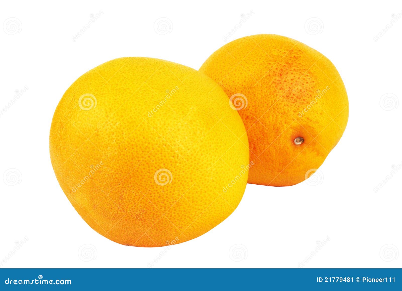 Fresh grapefruits stock image. Image of healthy, refreshment - 21779481