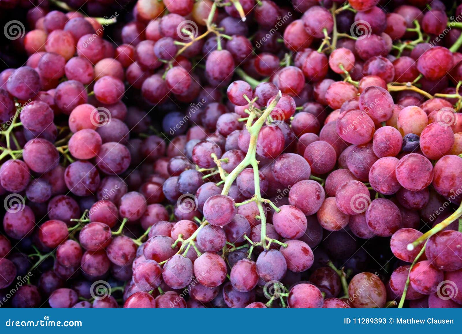 Fresh Grapes stock image. Image of agriculture, fermentation - 11289393