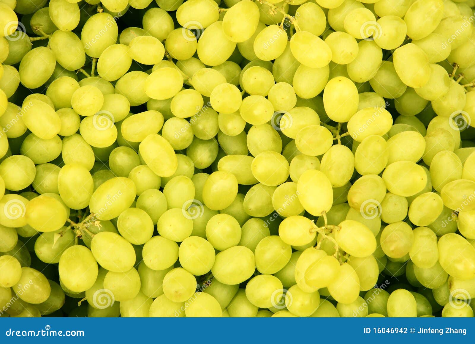 Fresh grapes stock photo. Image of unsalted, nutritious - 16046942