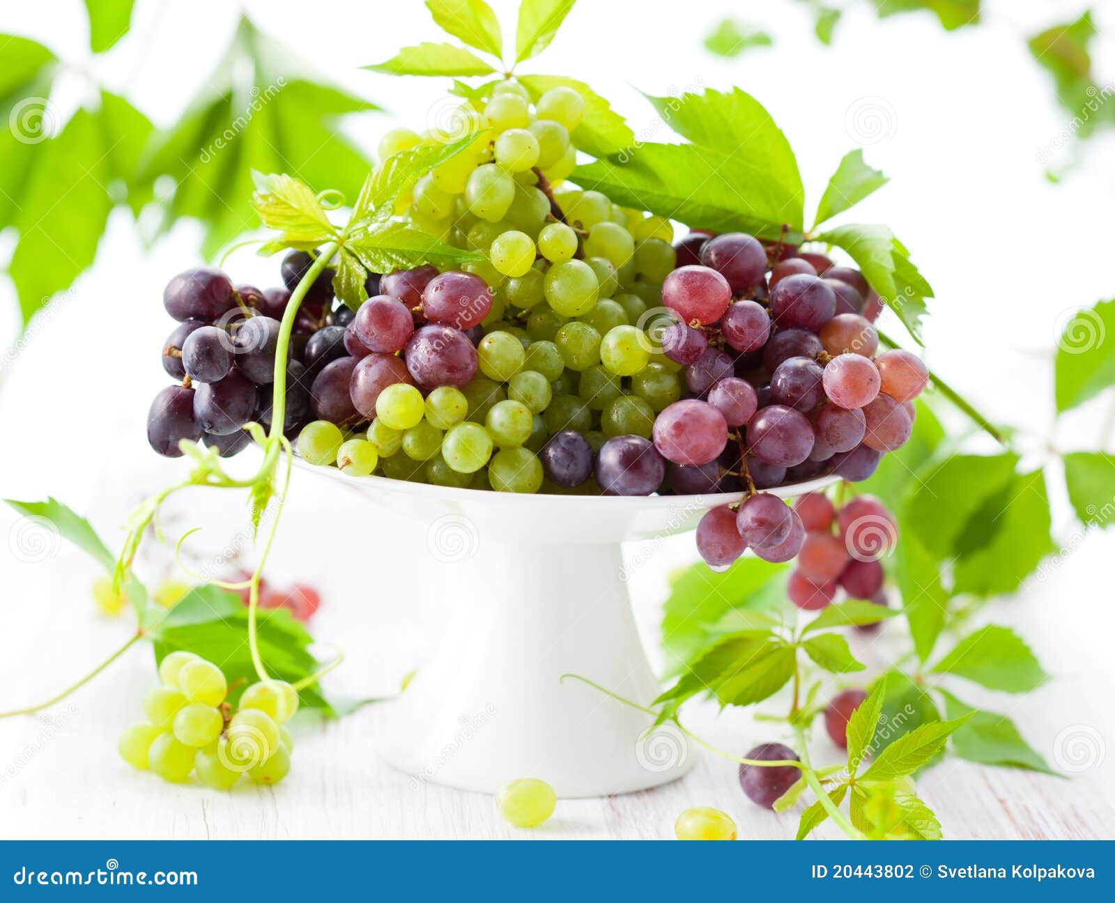 Fresh grapes stock photo. Image of ingredient, green - 20443802