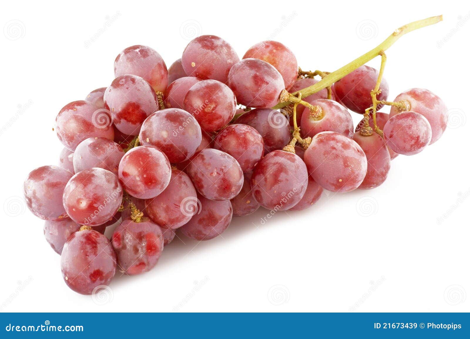 Fresh grapes stock image. Image of farm, macro, green - 21673439