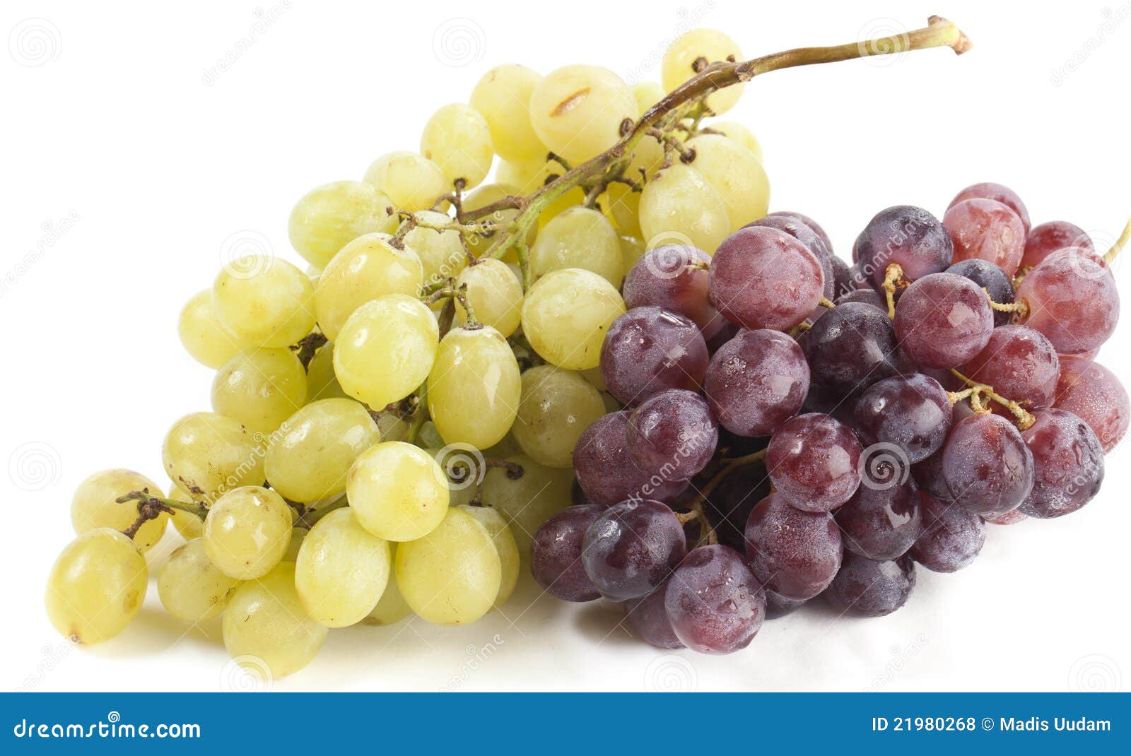 Fresh Grapes stock photo. Image of color, plant, fruit - 21980268