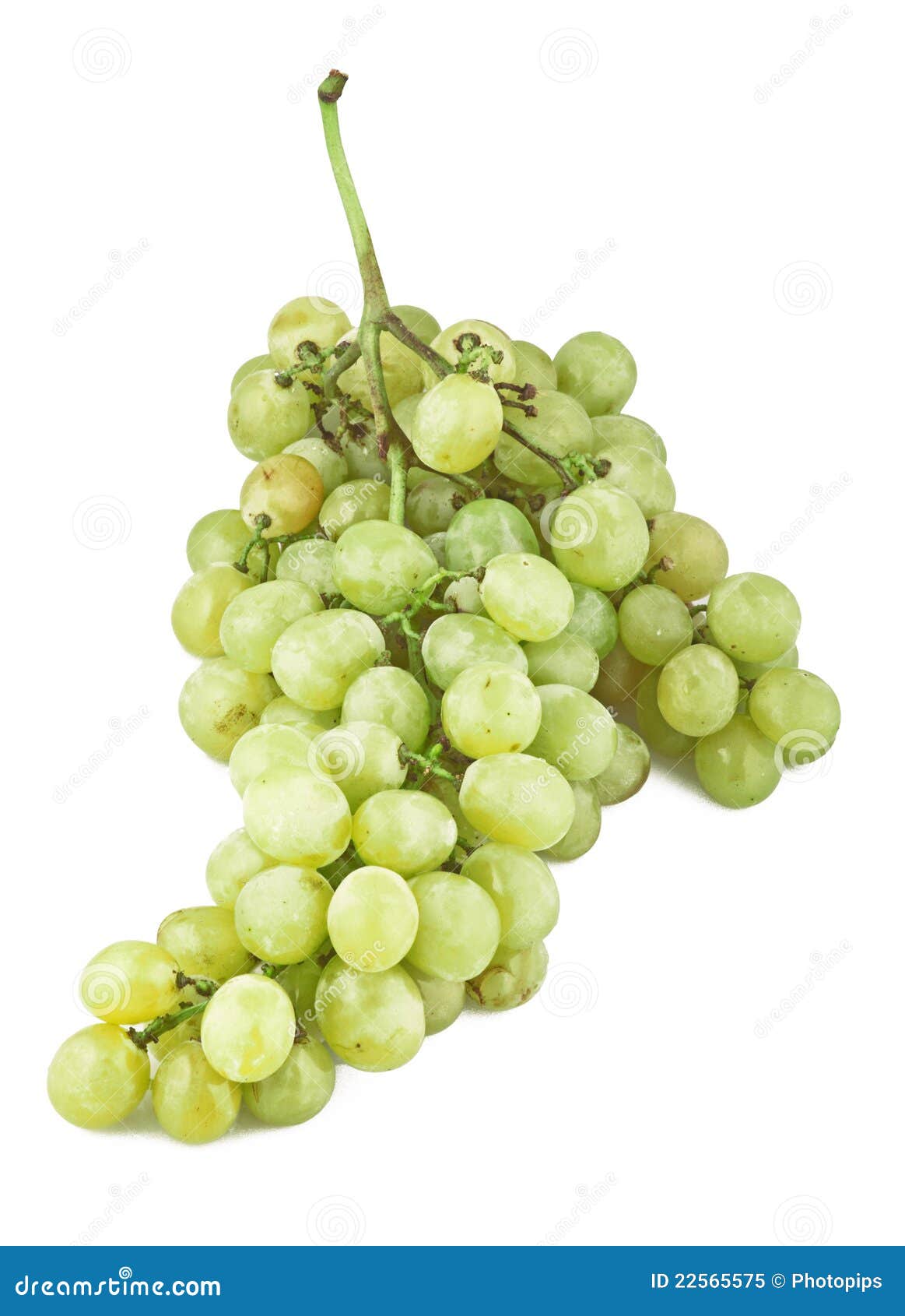 Fresh grapes stock image. Image of macro, harvest, drink - 22565575