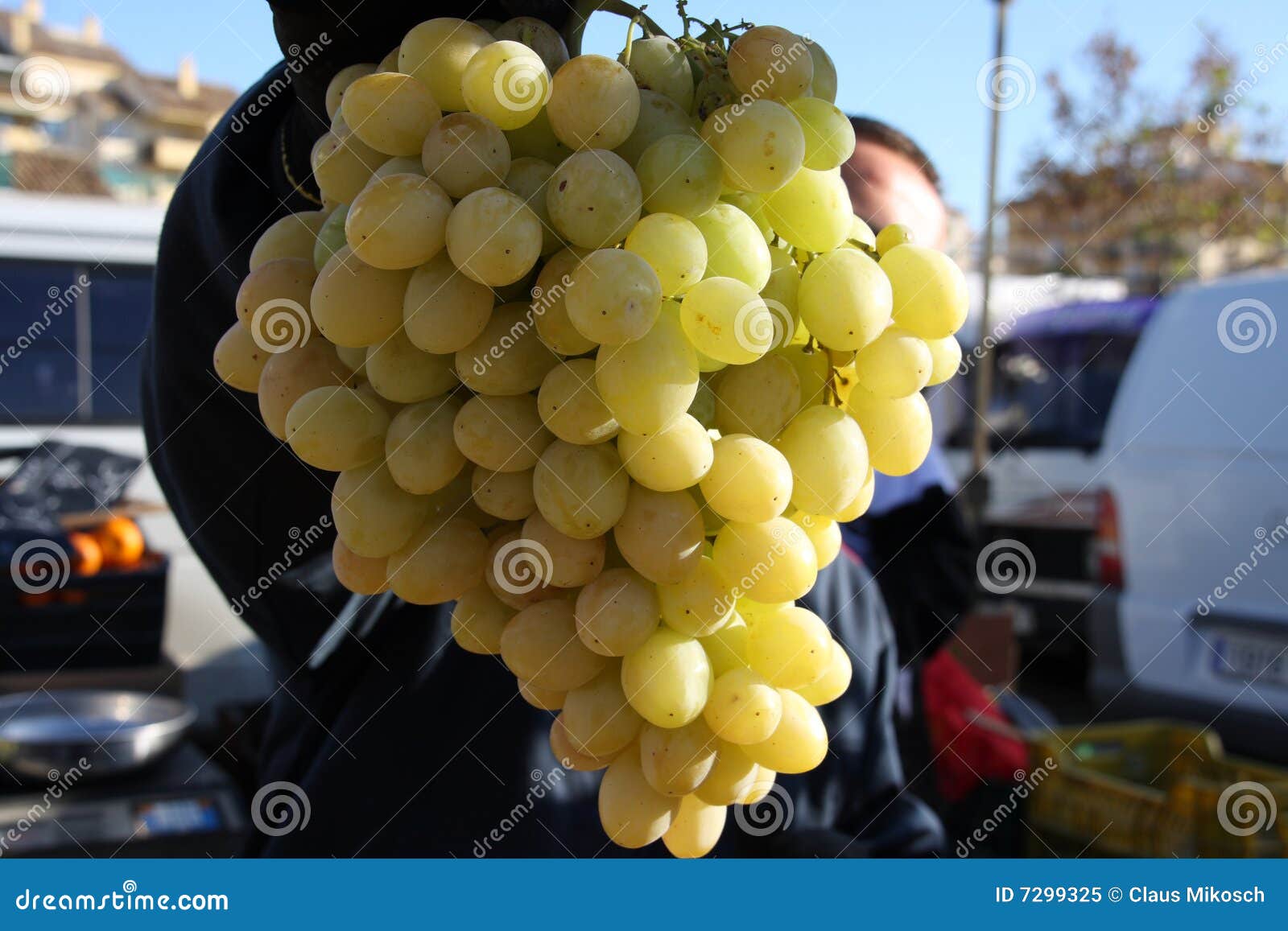 Fresh grapes stock image. Image of tasty, market, grape - 7299325