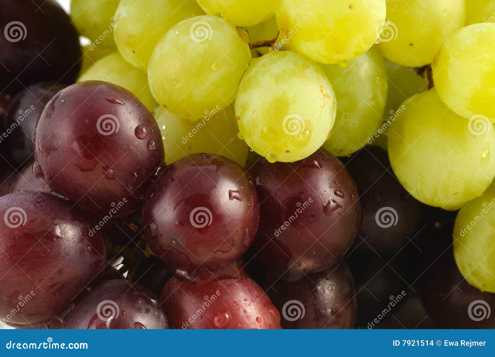 Fresh grapes stock photo. Image of grape, fruit, health - 7921514