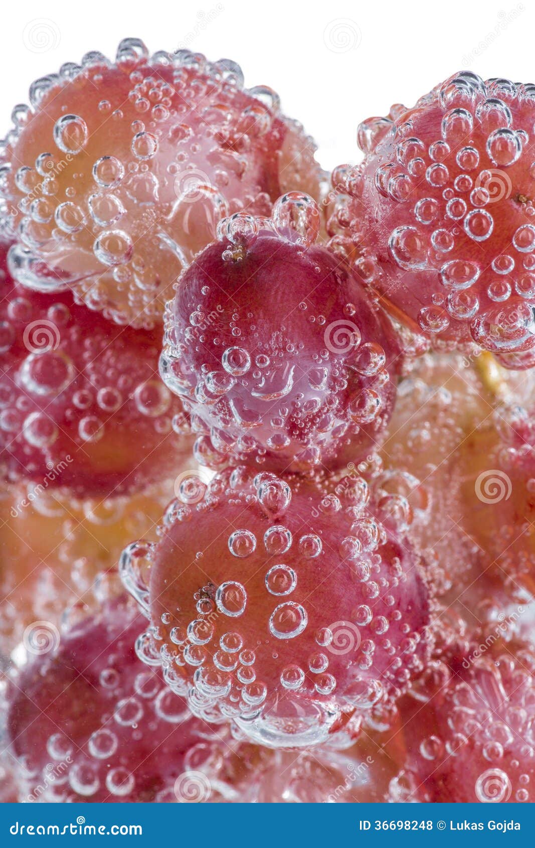 Fresh grapes with bubbles stock photo. Image of drop - 36698248