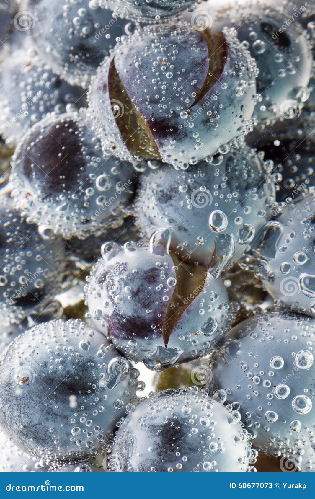Fresh Grapes with Bubbles in Water Stock Image - Image of nature, bunch ...
