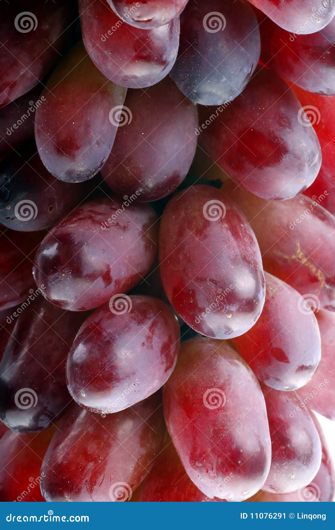 Fresh grapes close-up stock image. Image of bunch, icon - 11076291