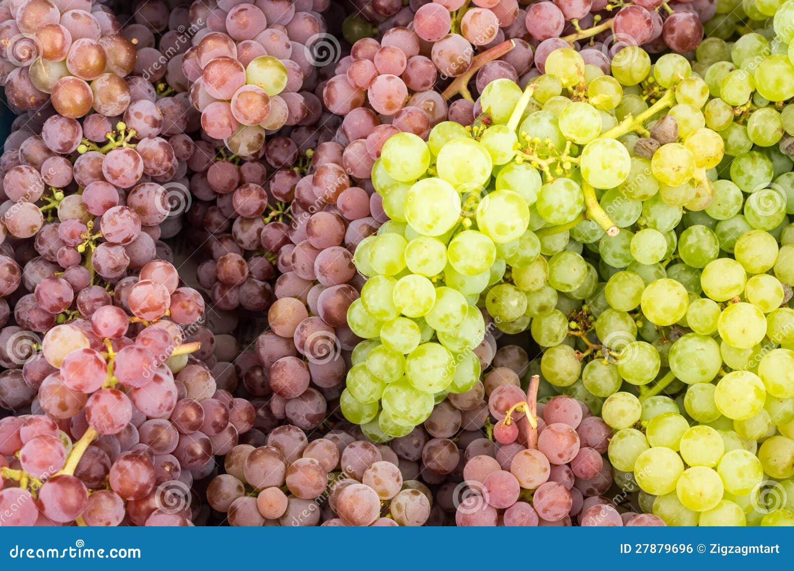 Fresh grapes on display stock photo. Image of ingredient - 27879696