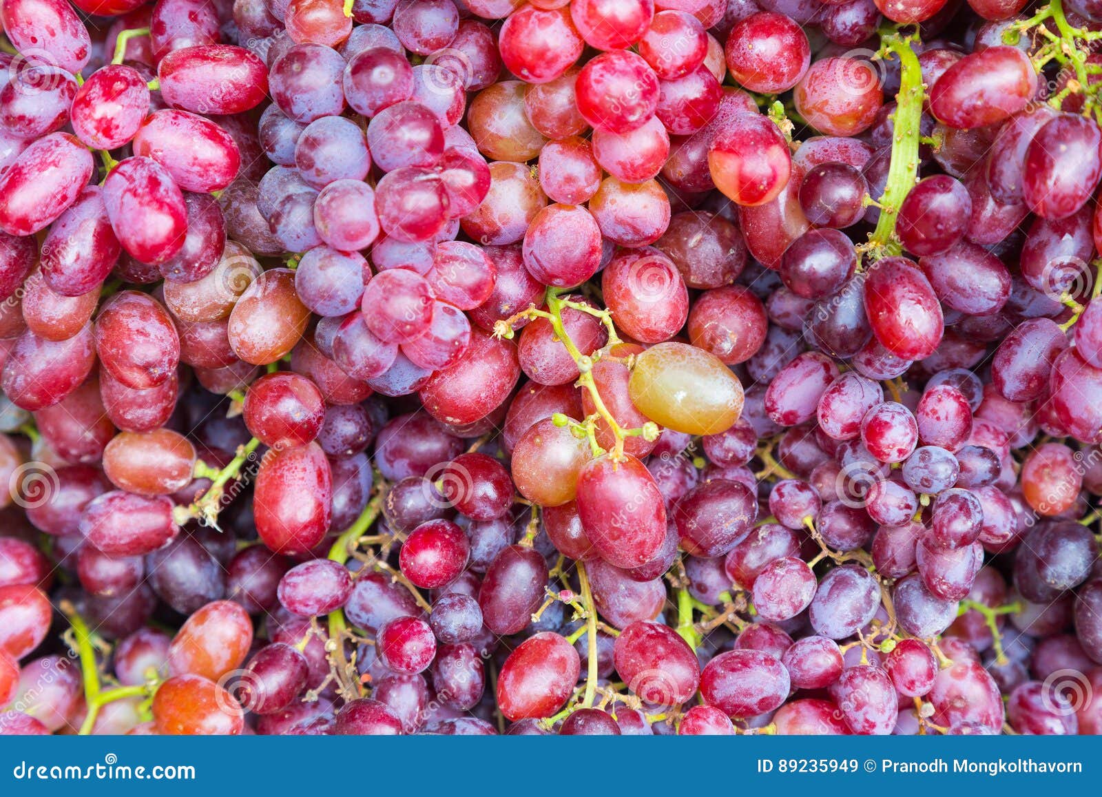 Fresh Grapes Fruit Close Up Stock Image - Image of close, juicy: 89235949