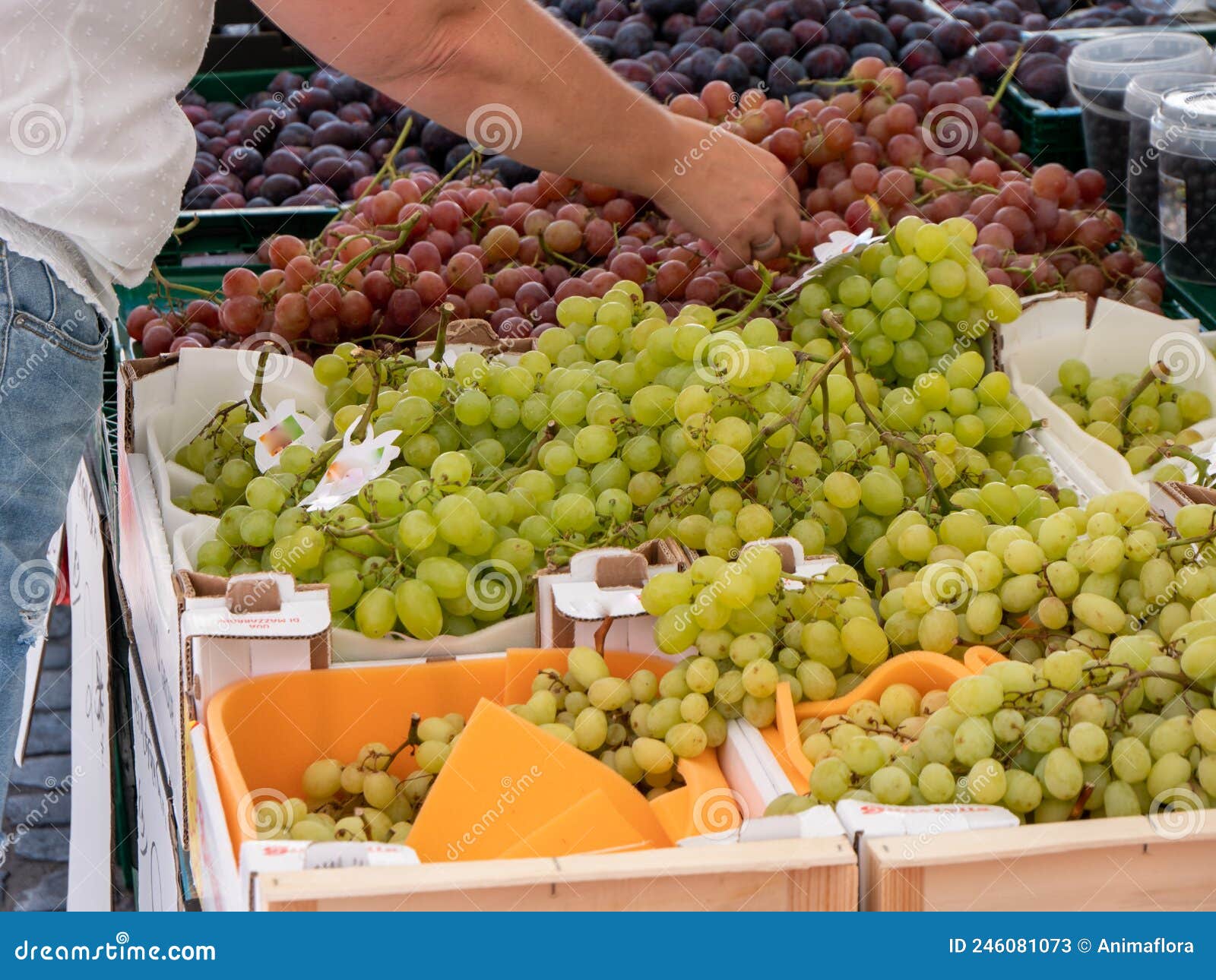 Fresh grapes in the market stock image. Image of agriculture - 246081073