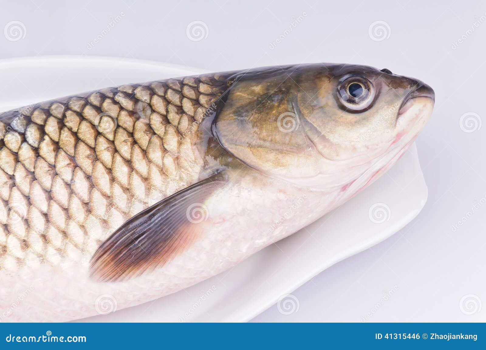 4,187 Carp Dish Photos - Free & Royalty-Free Stock Photos from Dreamstime