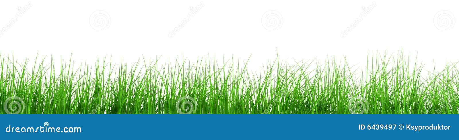 Fresh grass row stock image. Image of thick, organic, spring - 6439497