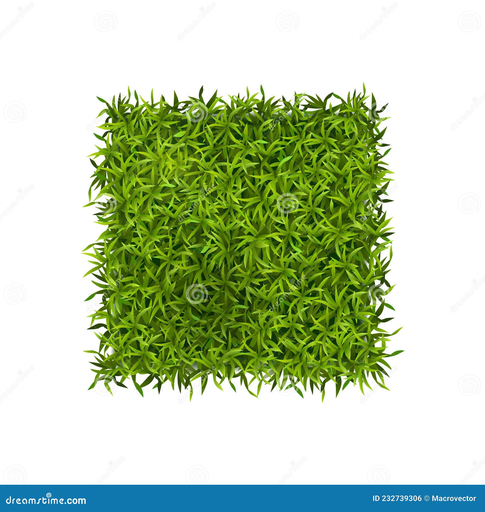 Fresh Grass Square Composition Stock Vector - Illustration of herb ...