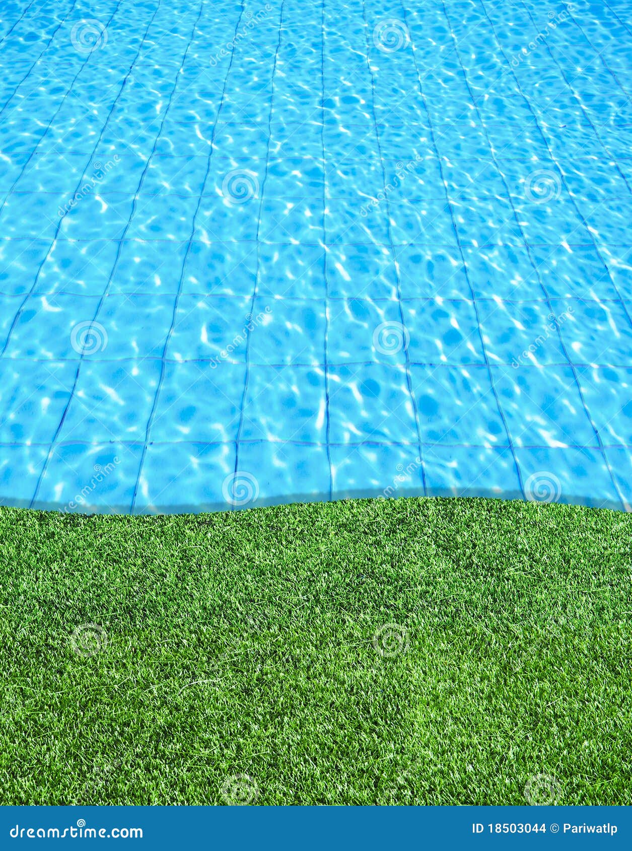 Fresh Grass beside the Swimming Pool Stock Photo - Image of plant ...