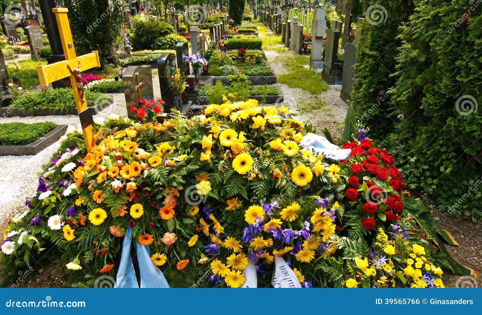 Fresh Grave At Night