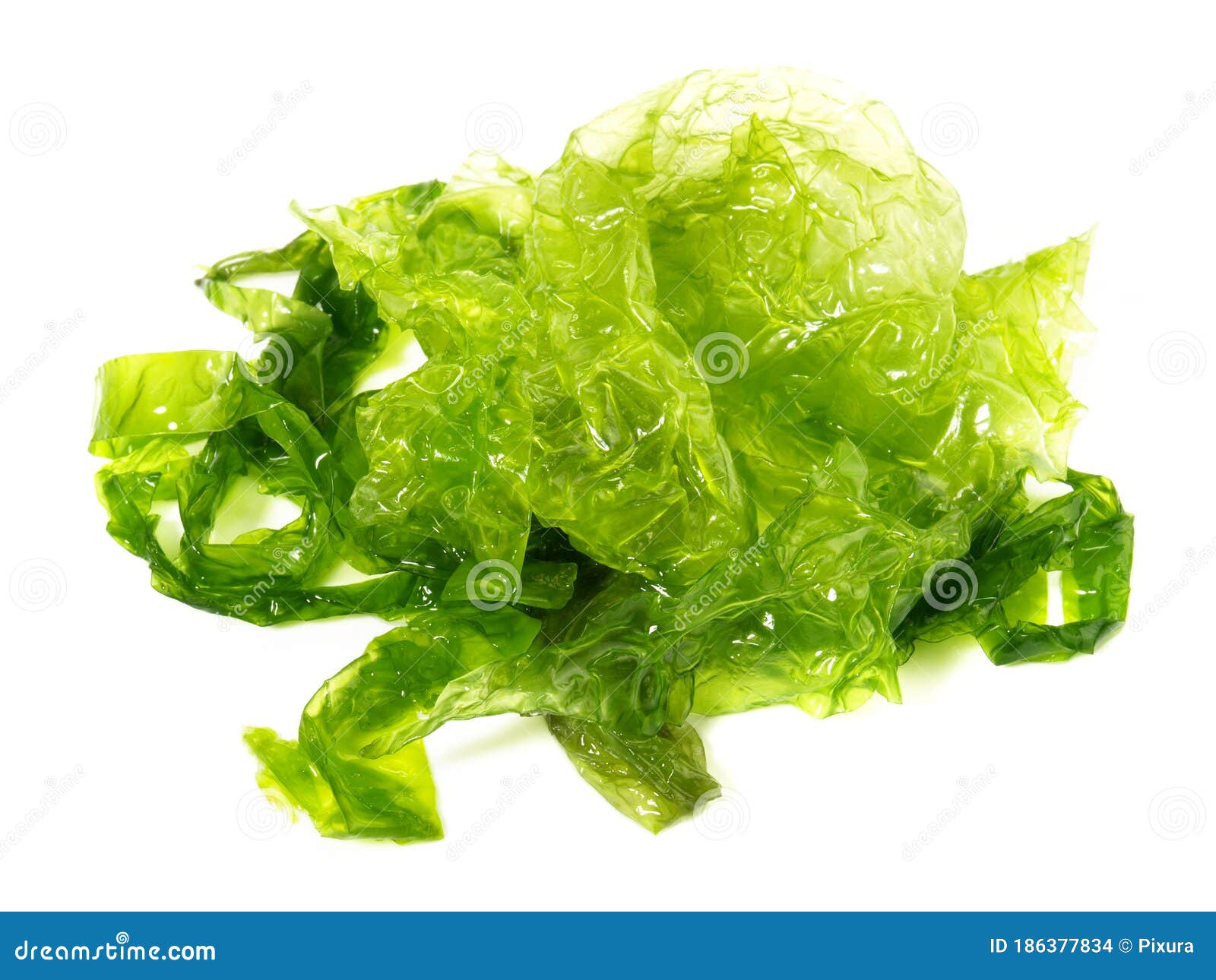 Fresh Green Algae - Healthy Nutrition Stock Photo - Image of kelp ...