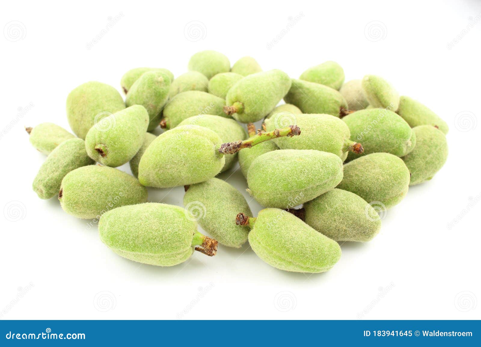 Fresh green almond fruits stock image. Image of nature - 183941645