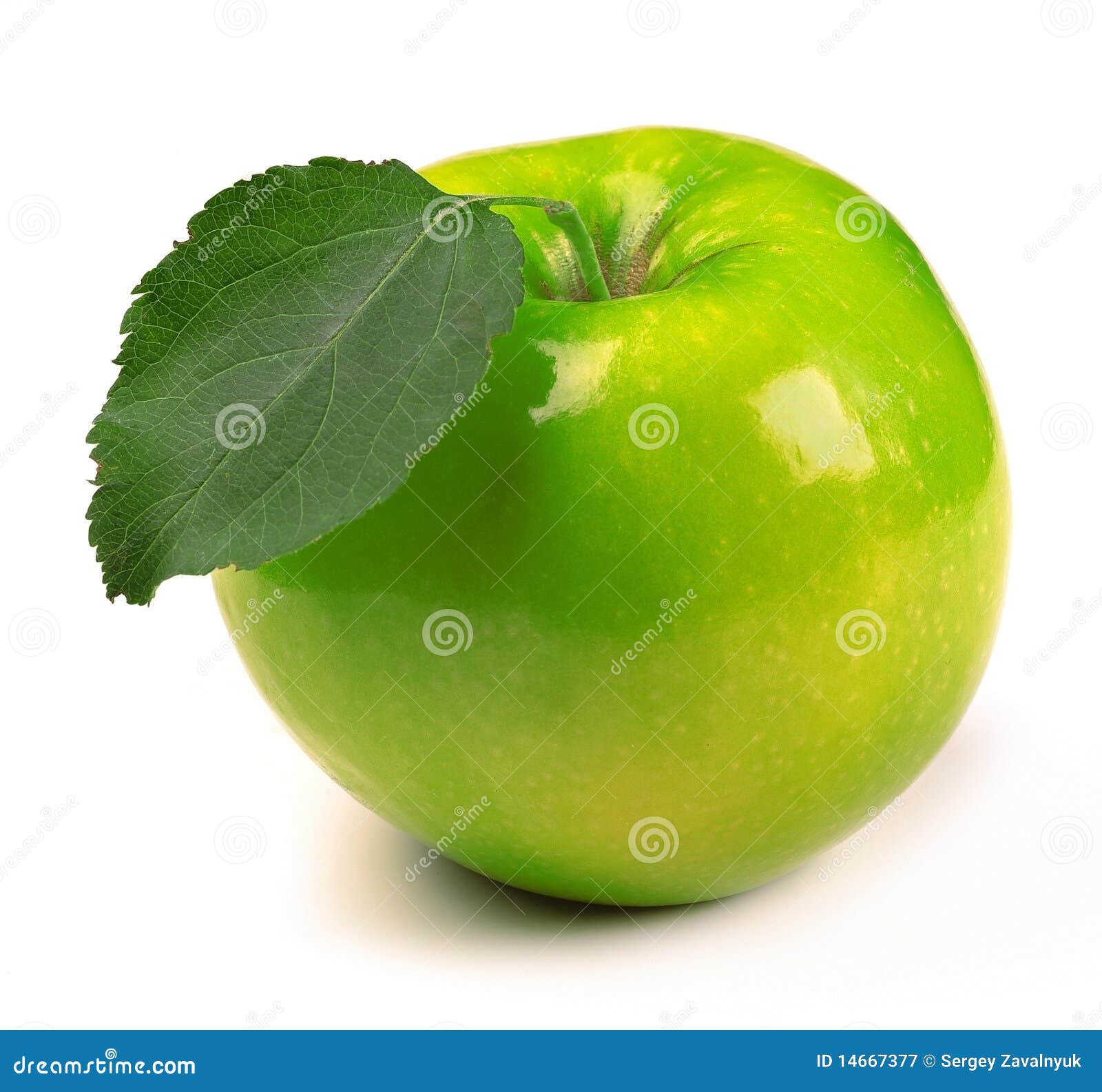 Fresh green apple stock image. Image of mature, natural - 14667377