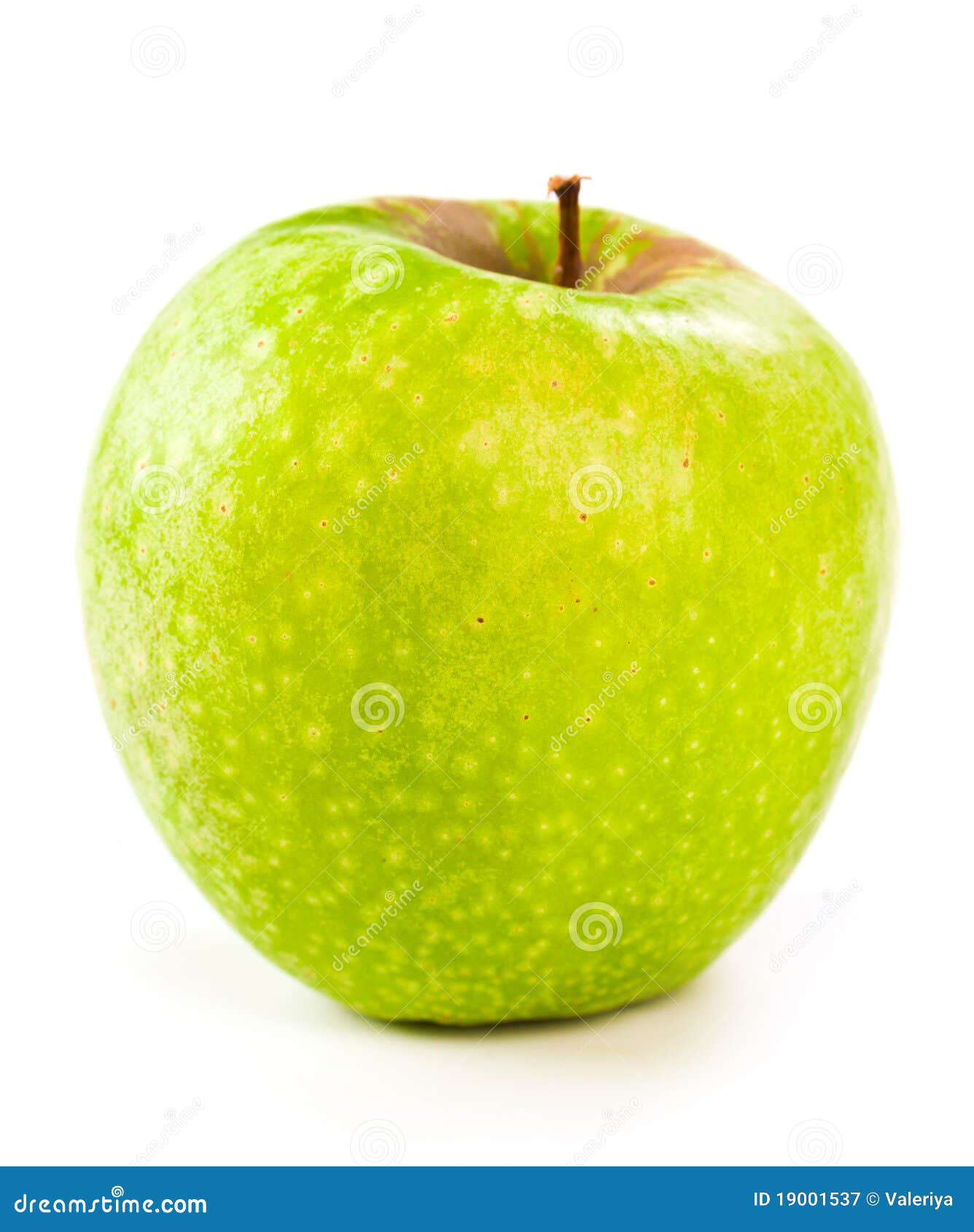 Fresh green apple stock image. Image of juicy, vegetarian - 19001537
