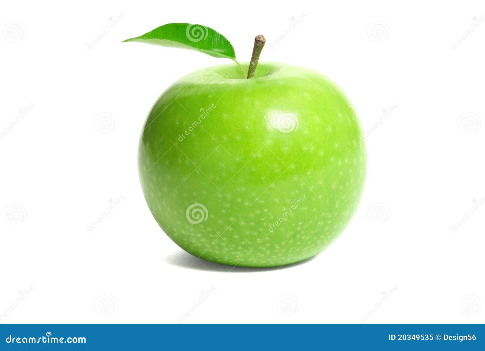 Fresh green apple stock image. Image of isolated, ripe - 20349535