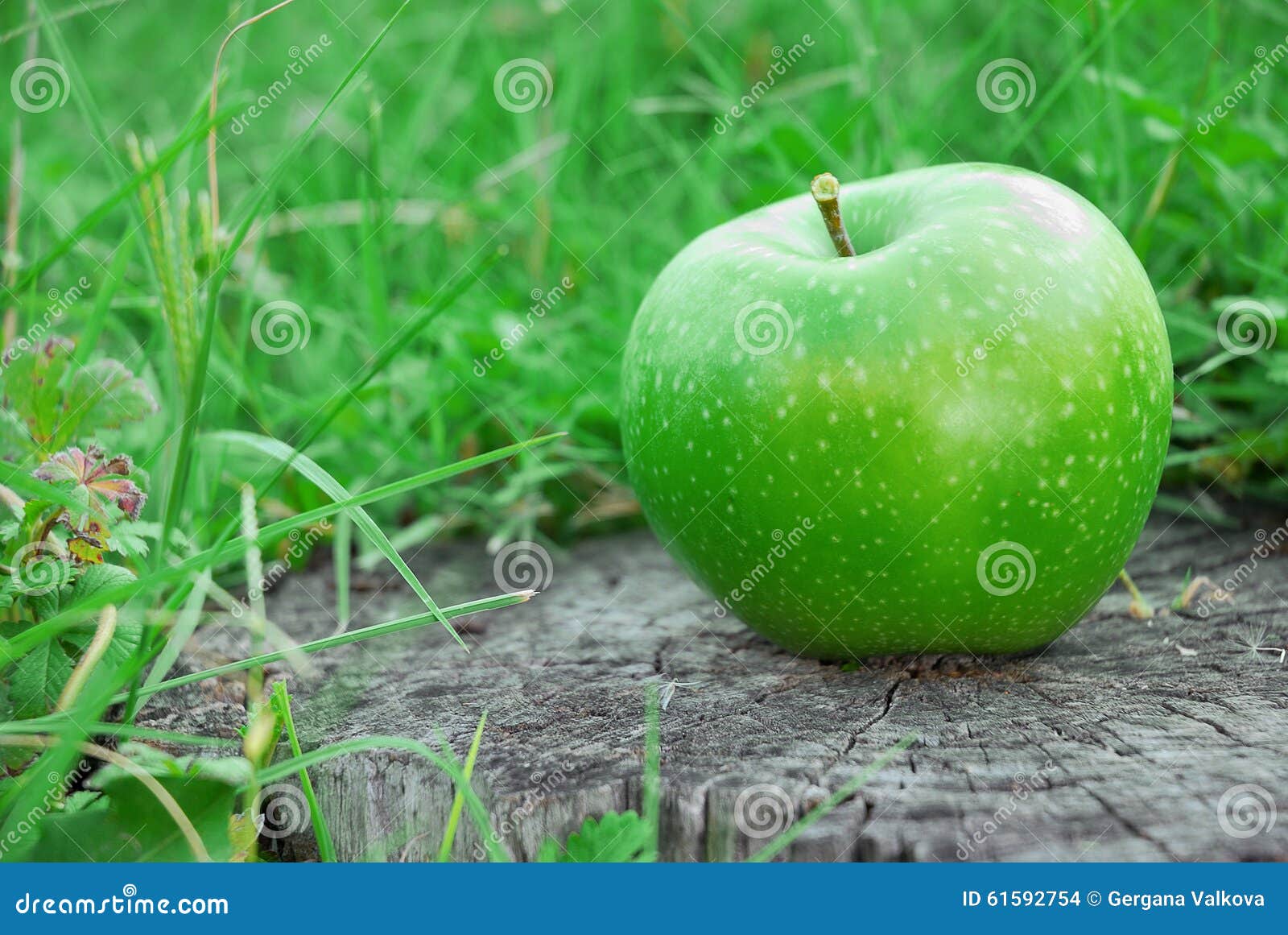 Fresh Green Apple on Table Outdoors Stock Photo - Image of healthy ...