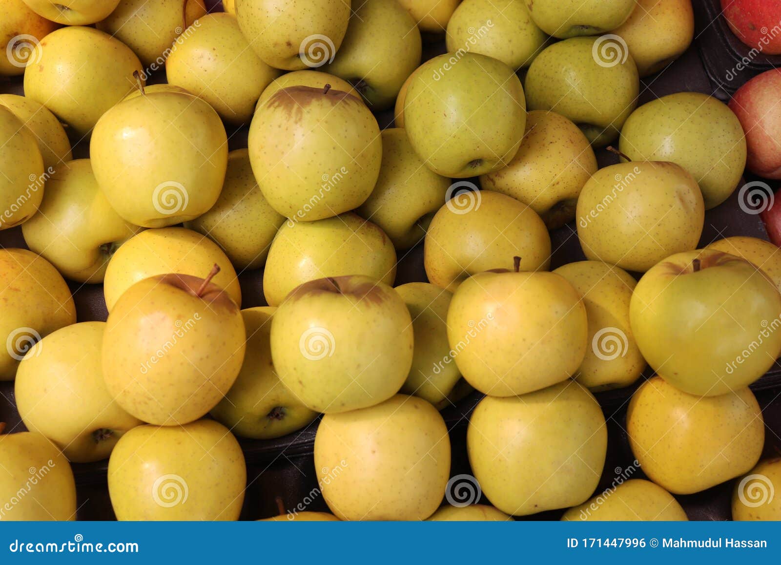 Fresh Green Apples Backgrounds, Lots of Green Apples Stock Photo ...